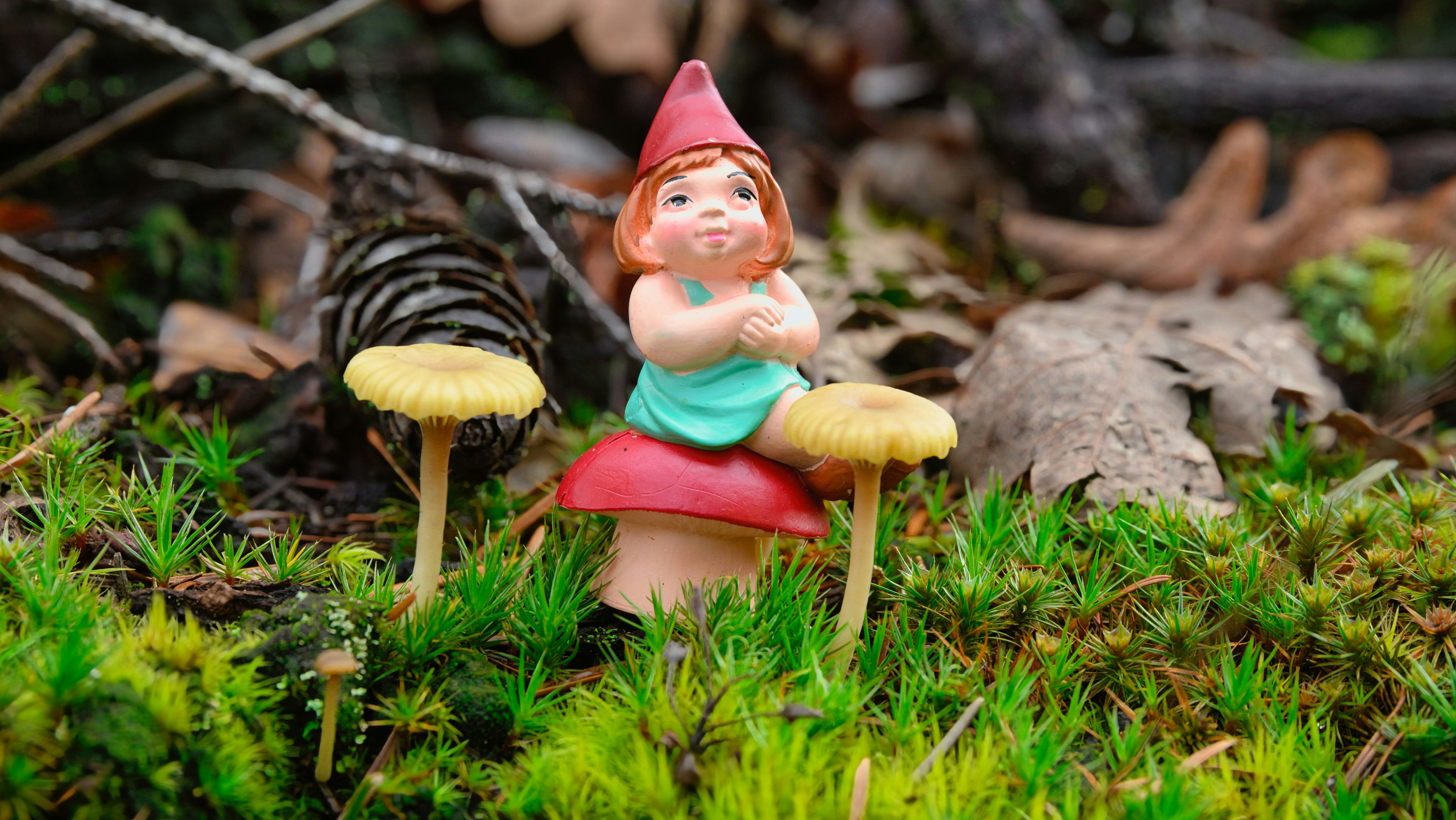Garden Sprite: A Tiny Gnome Among Fungal Stars