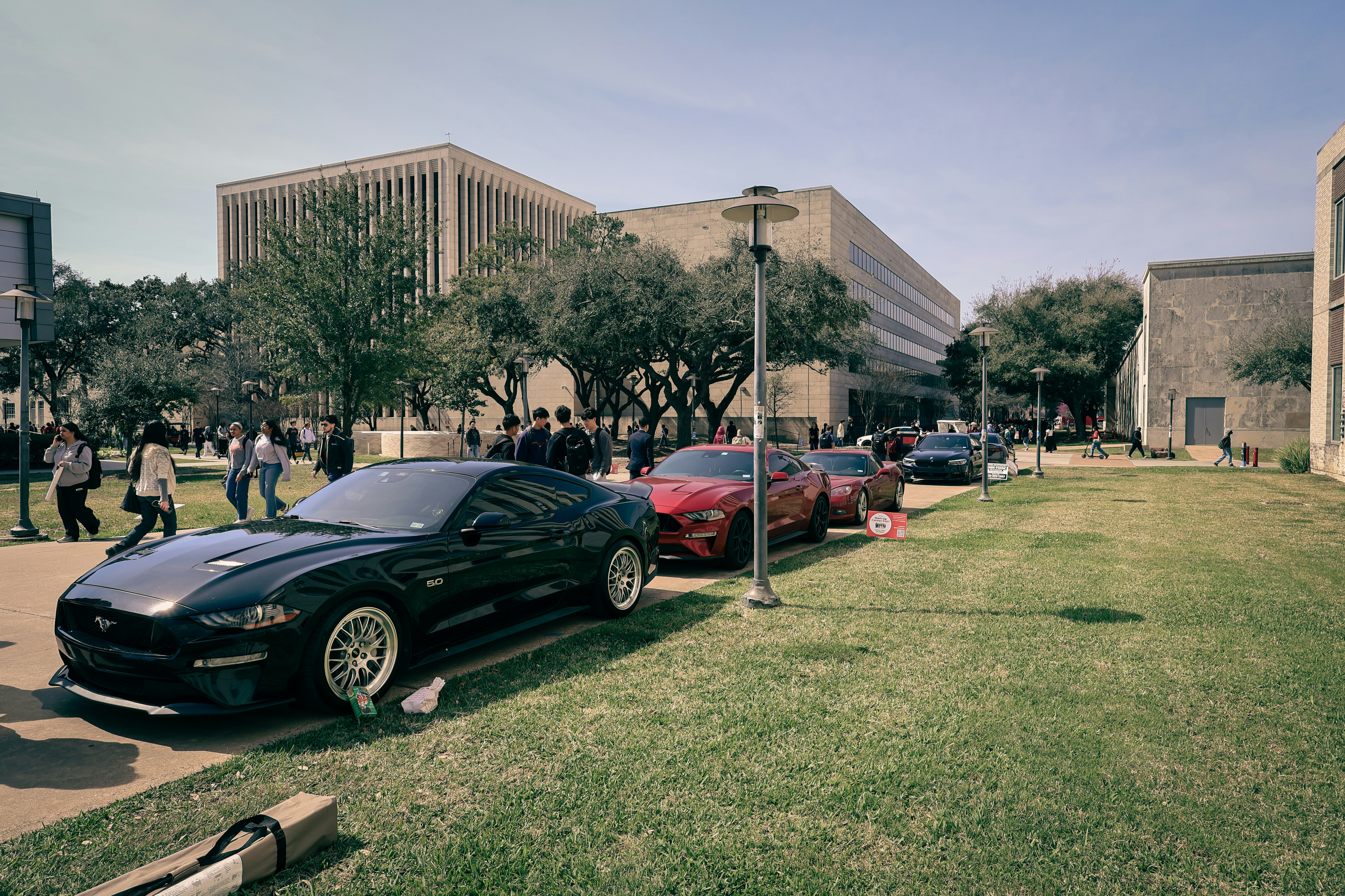 Sunlit Lineup: A Row of Sleek Cars on a College Lawn