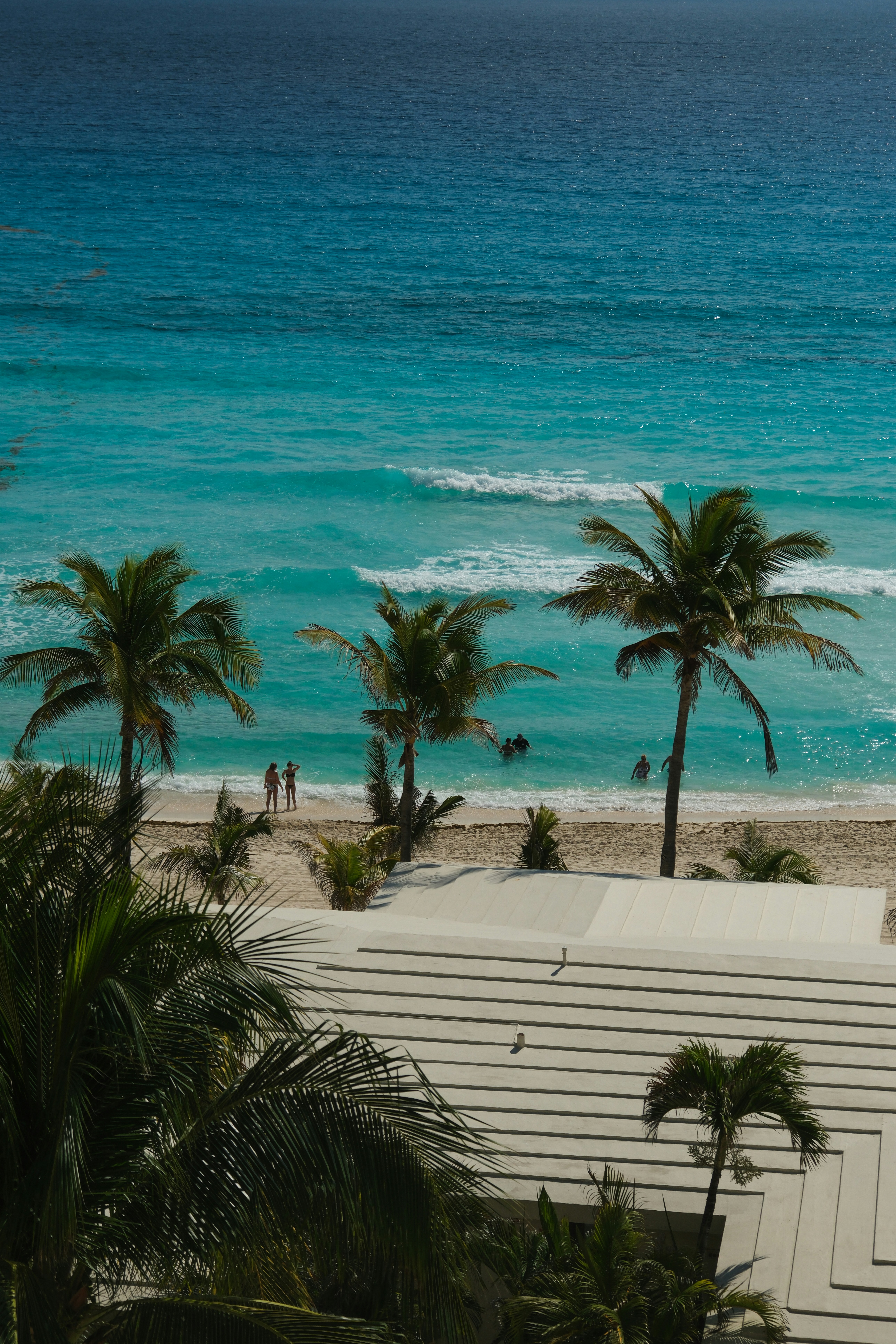 Turquoise Horizon: Palm Shadows on a Caribbean Beach