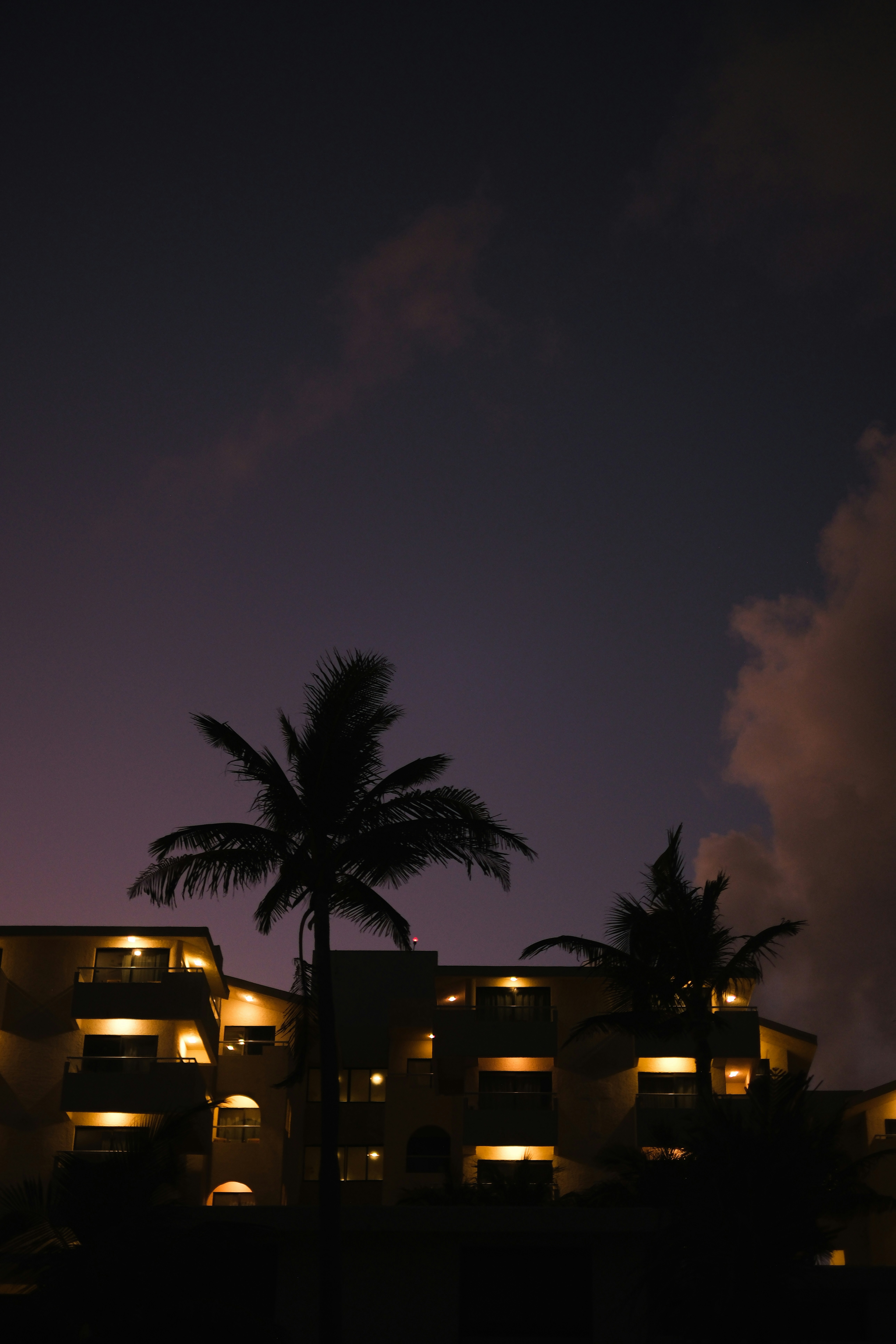 Nightline in Paradise: Palm silhouettes against a warm hotel glow