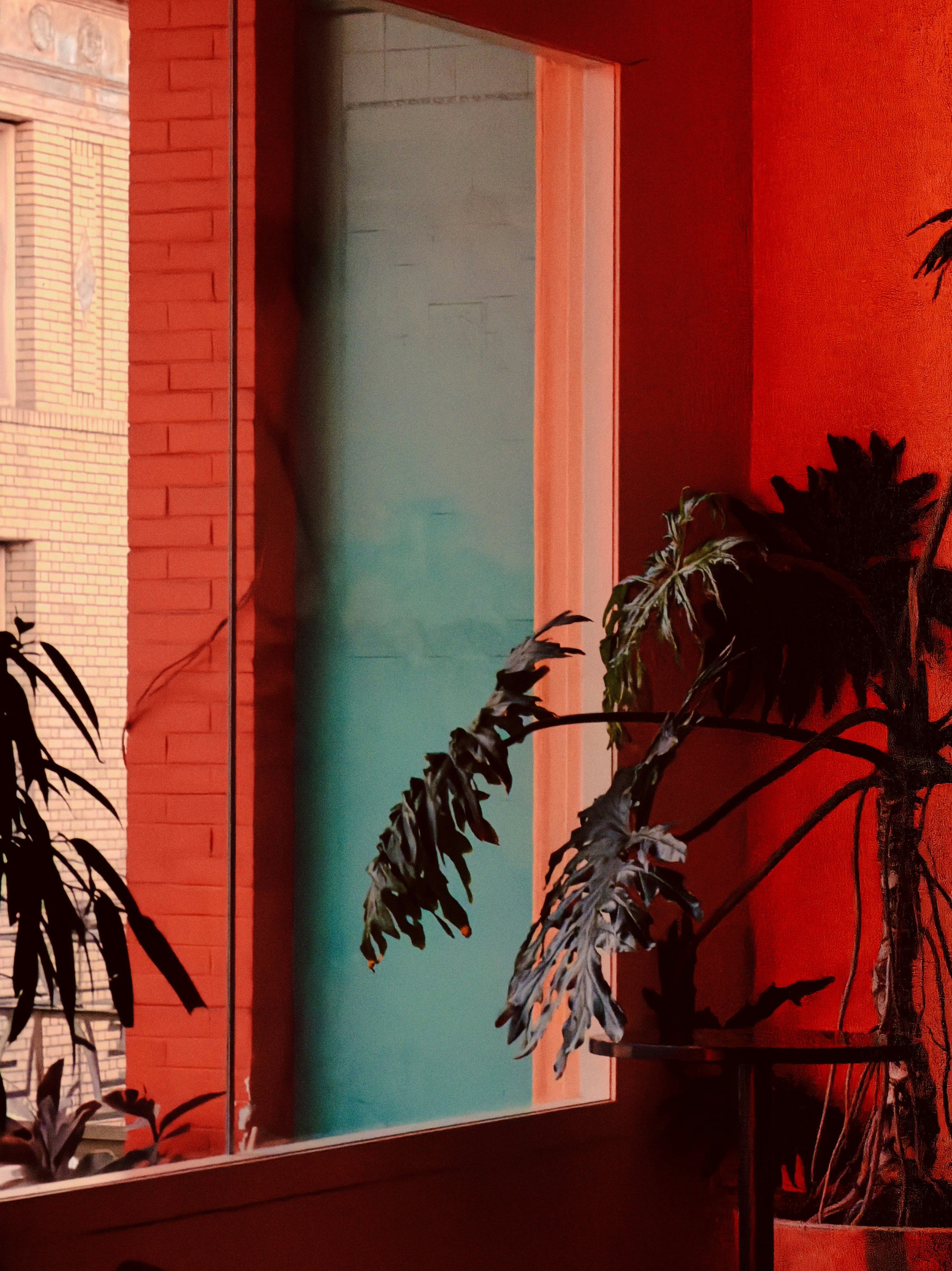 Red Wall, Green Window: A Quiet Interior Moment