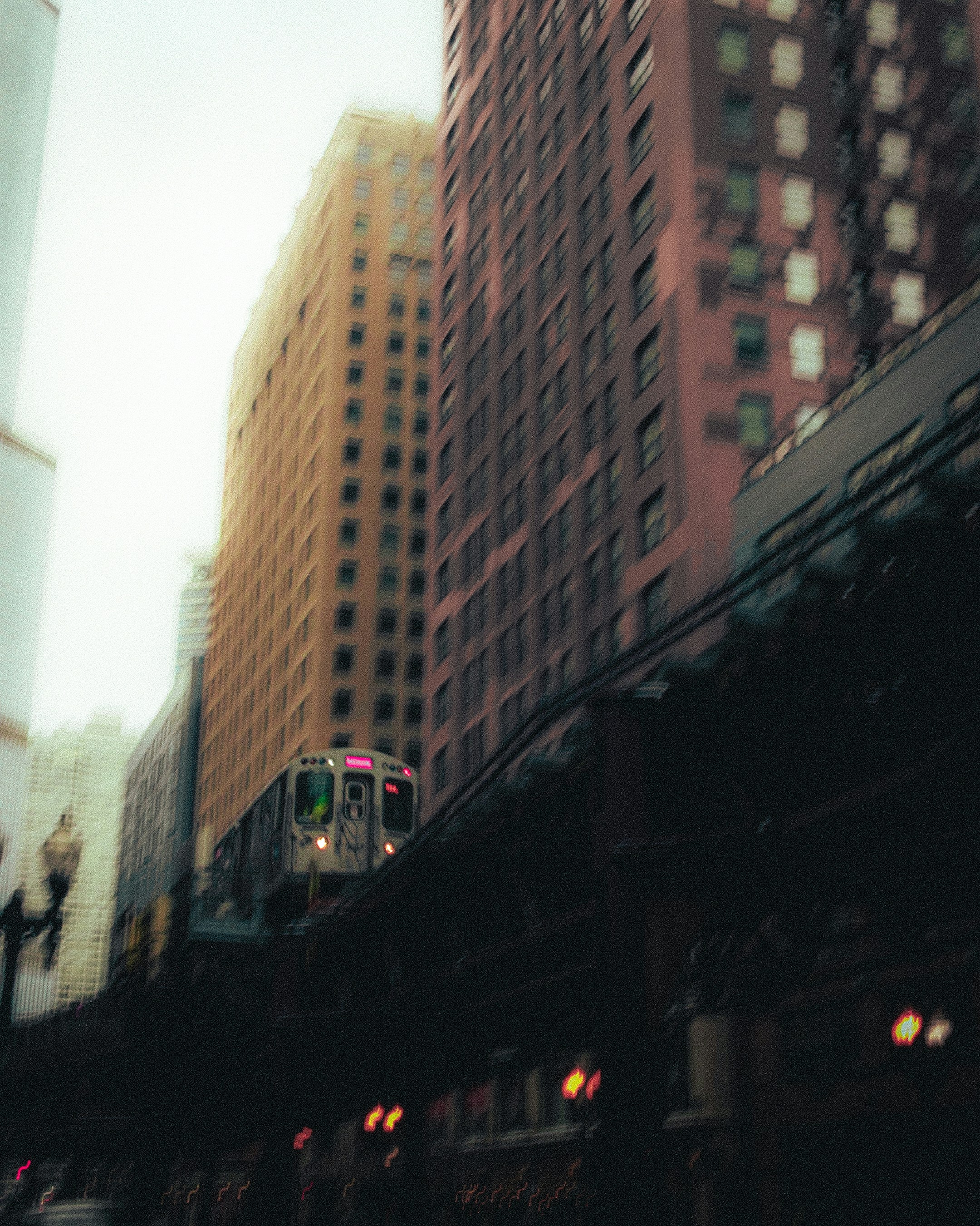 City Skytrain Among Giants: A Glimpse of Transit Above the Street