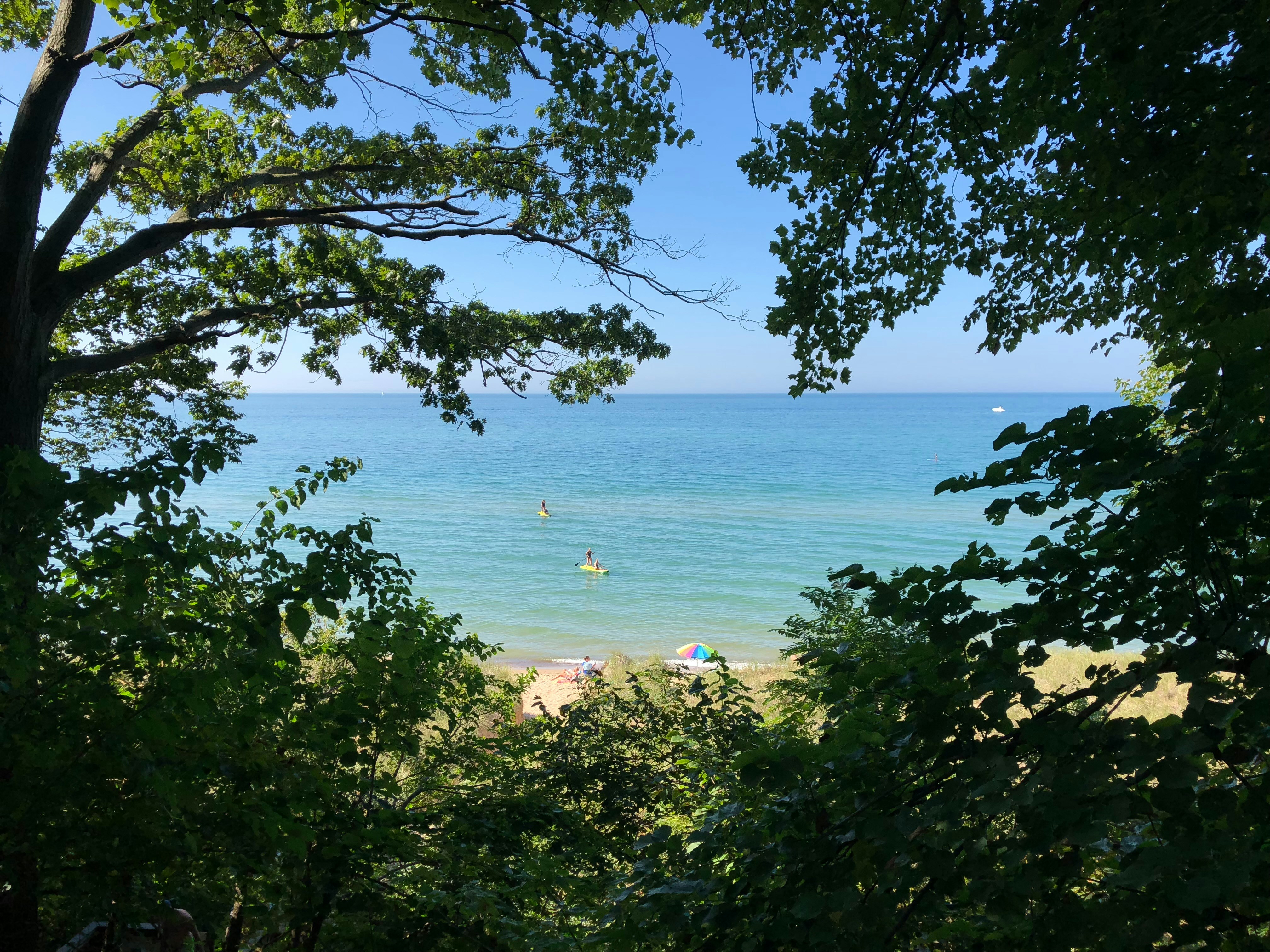 Sunlit cove beyond the leafy frame