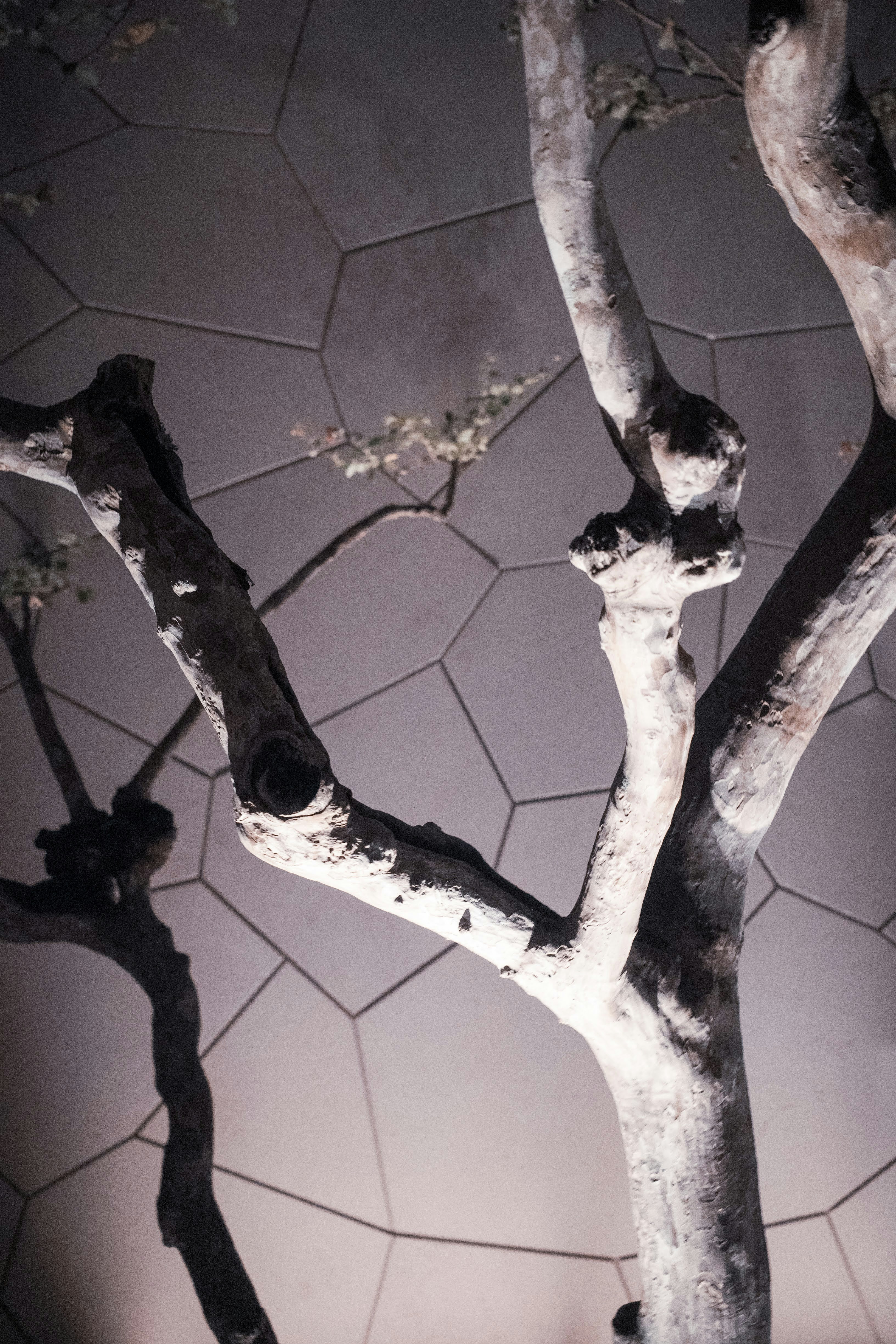 Desaturated Gnarled Branches Against a Geometric Ceiling