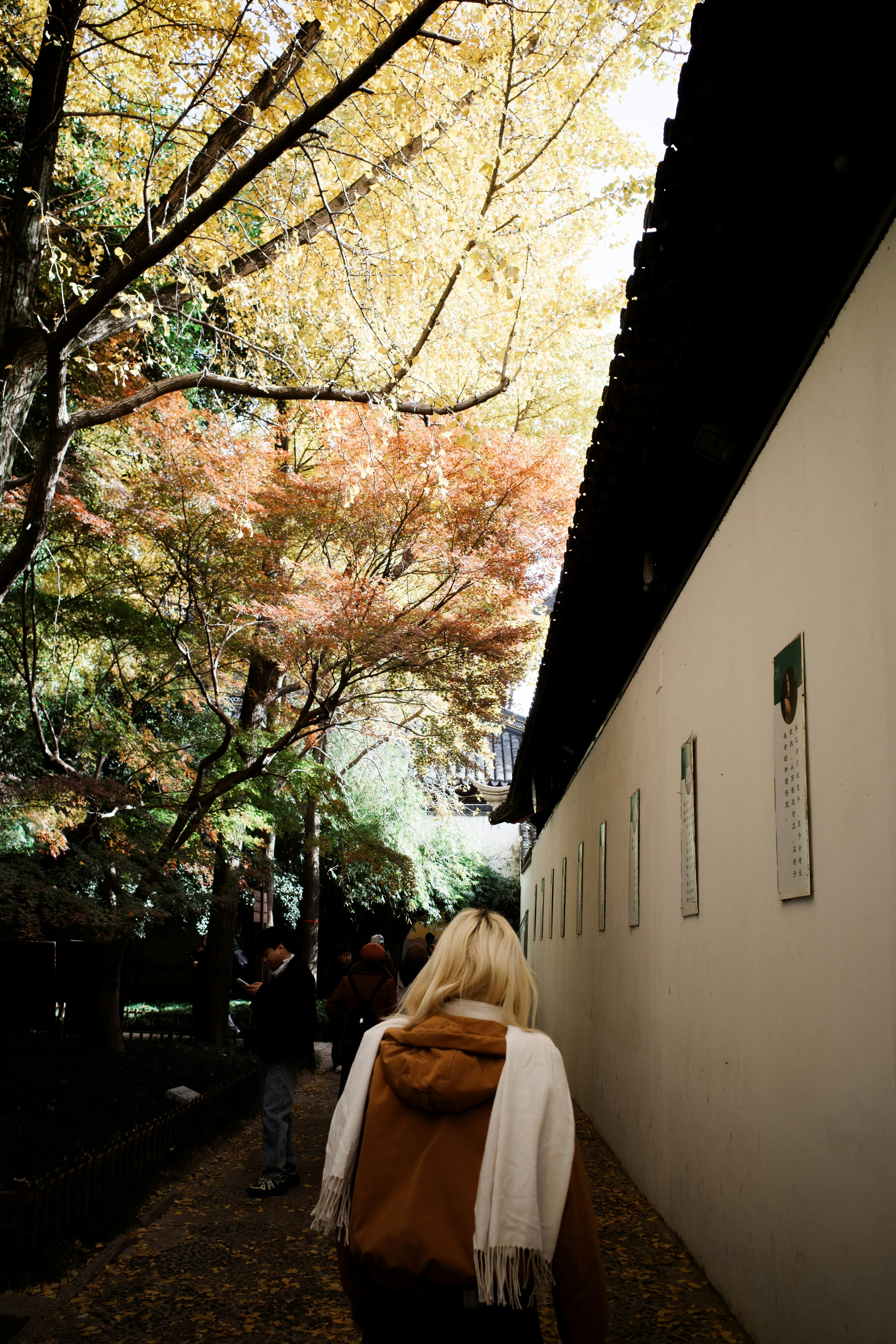 Autumn Path: A Visitor Walks Along a Lanterned Wall