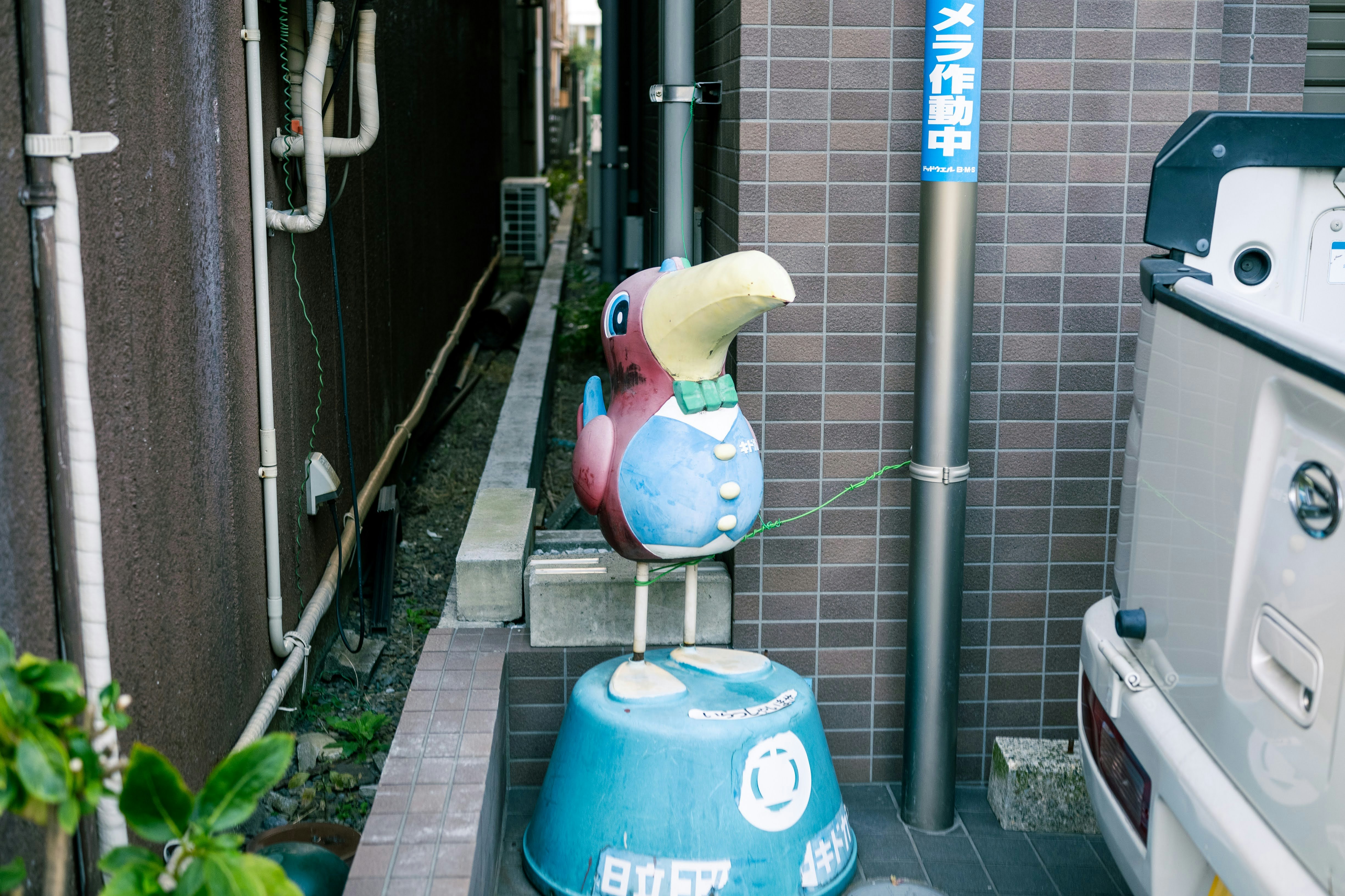 Buddy in the Alley: A Quirky Parrot Statue Guarding a Narrow Corridor