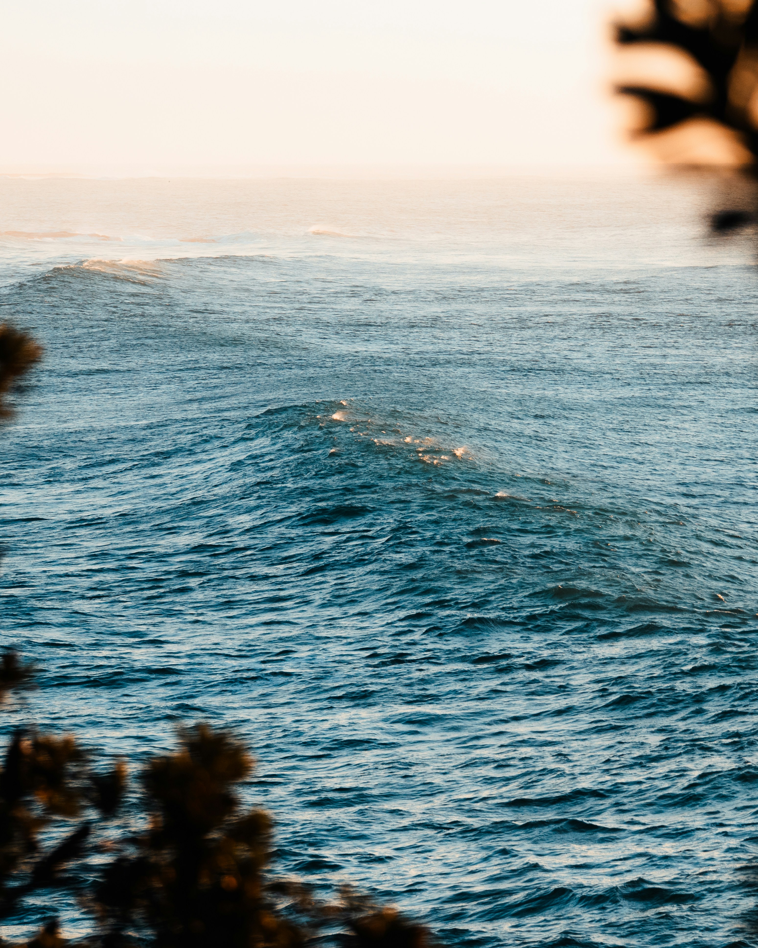 Horizon Wave: A Quiet Tide Beneath Sunset Fringes