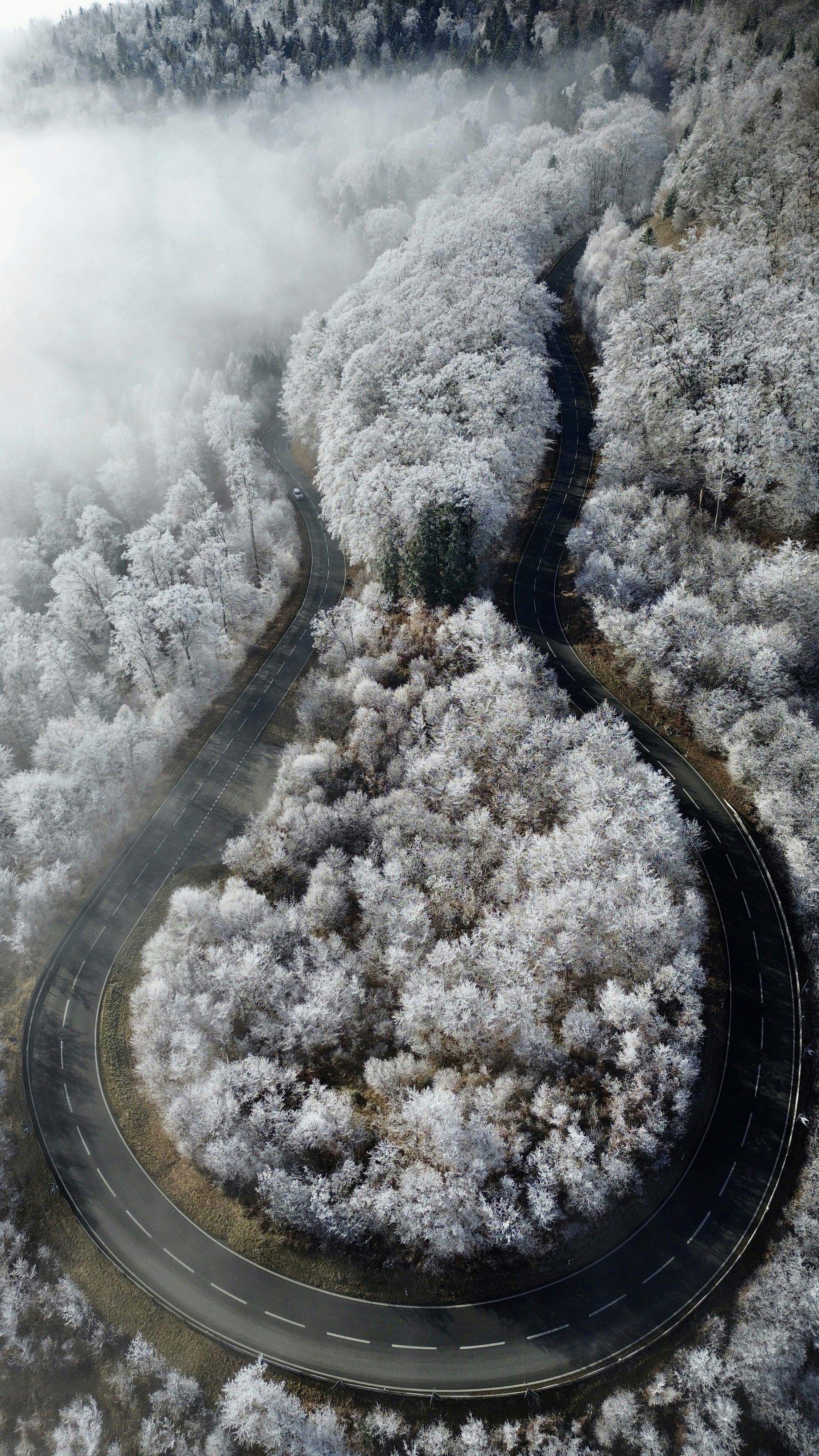 Aerial Switchback: Snow-White Coffee in the Mountain Nebula
