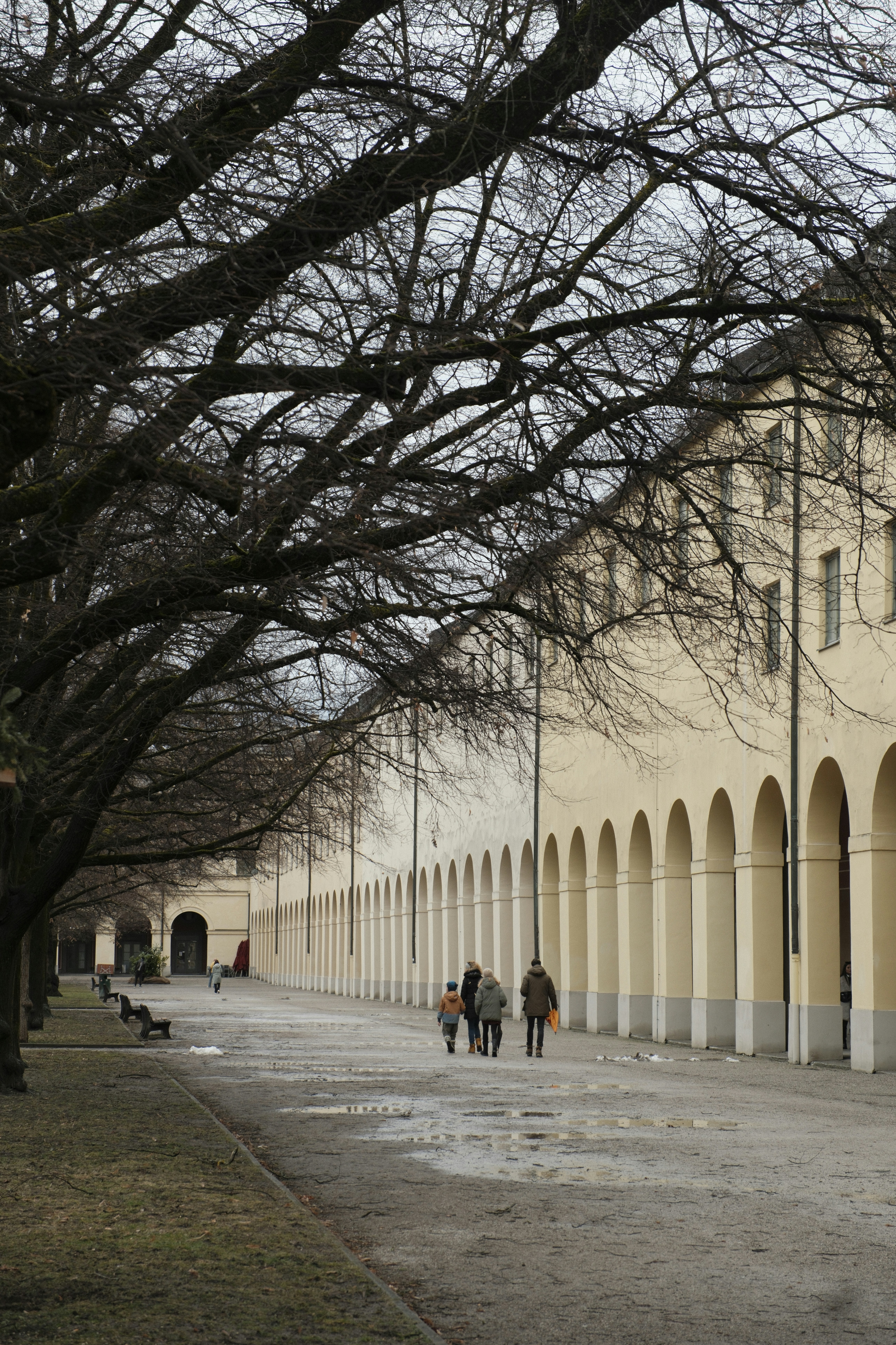 Colonnade Walk under Winter Branches