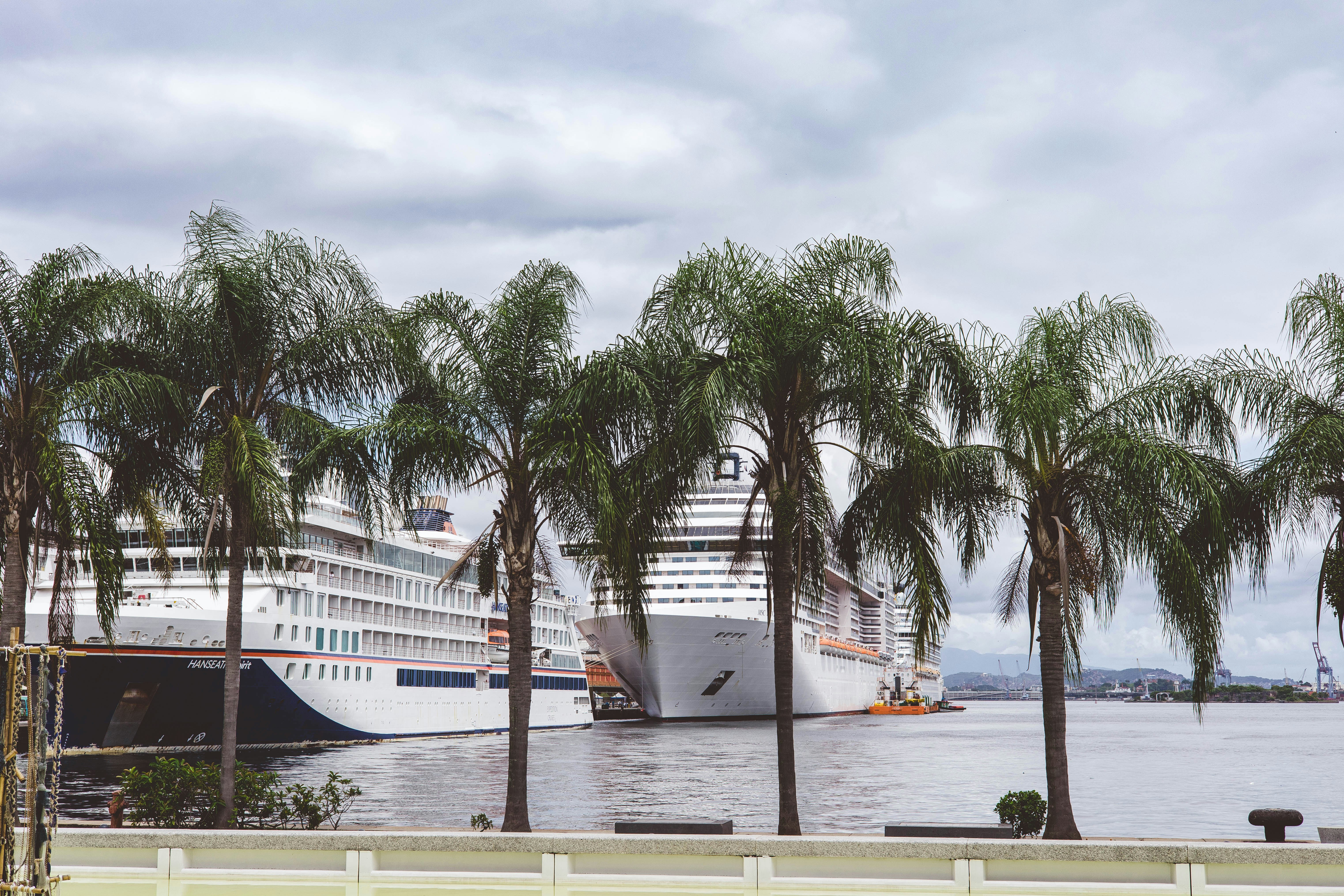 Palm-lined harbor frame: cruise ships beyond a tranquil promenade
