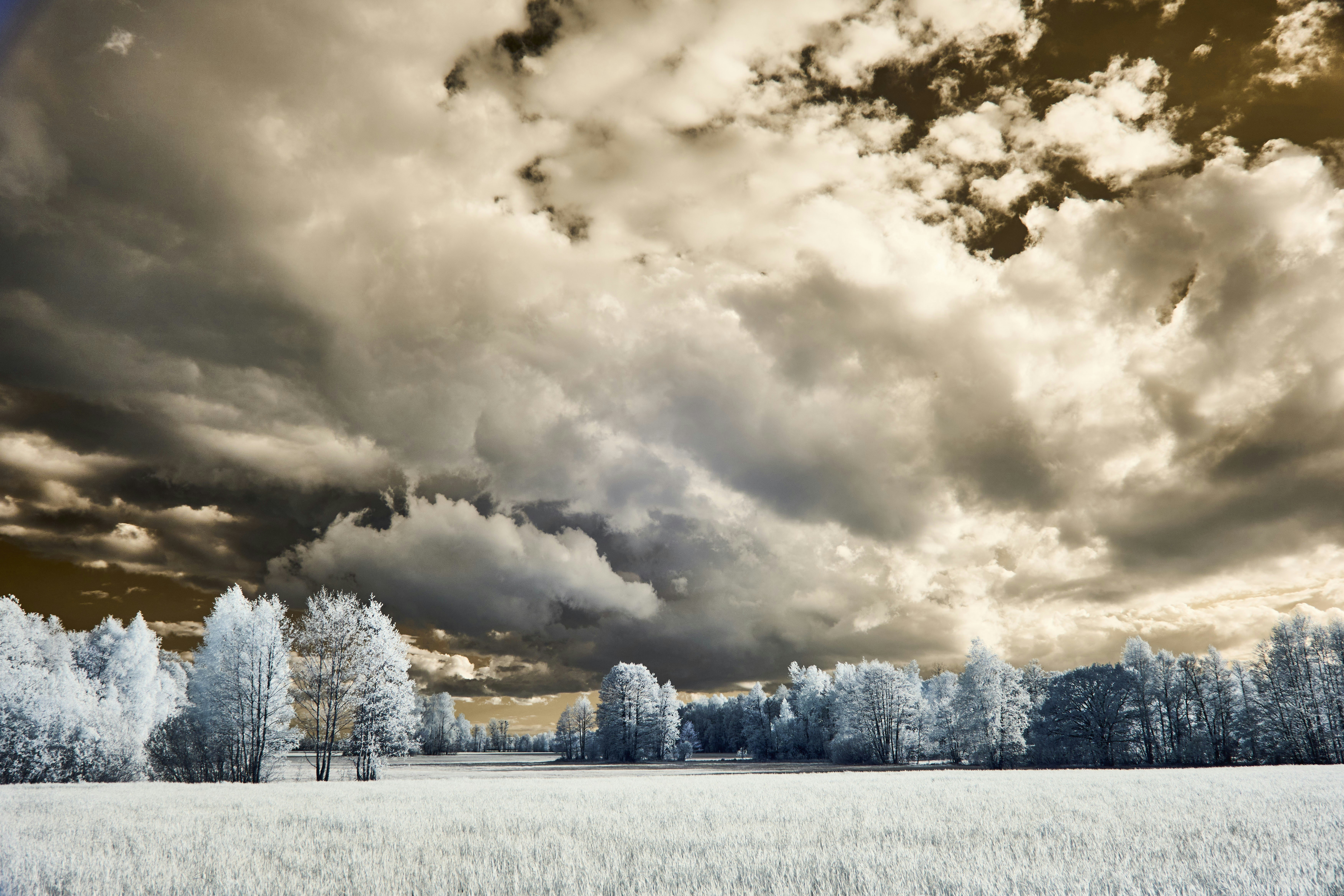 Iridescent Field Under a Majestic Storm