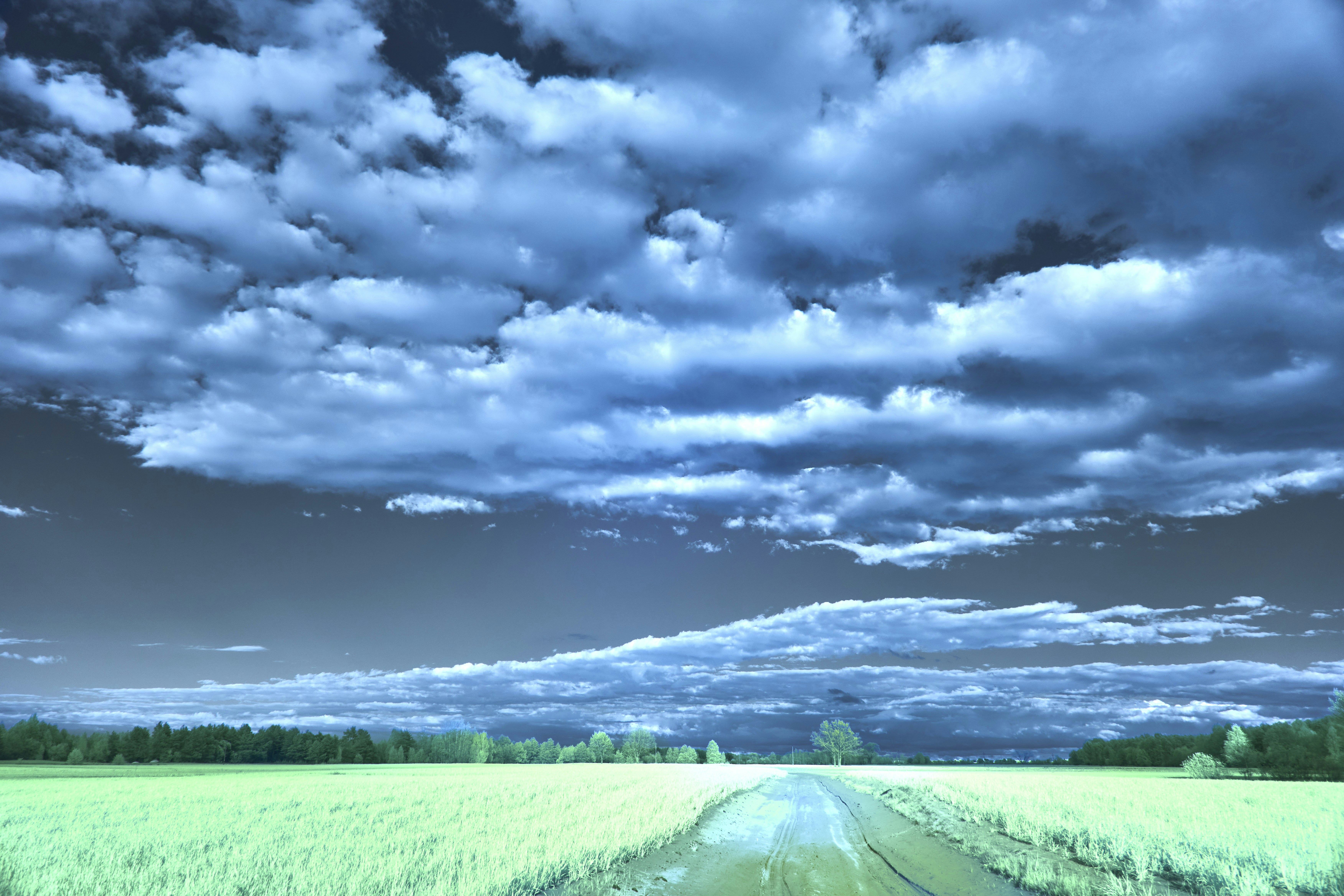 Wide Sky Over a Quiet Field: A Blue-Tinted Dusk Landscape