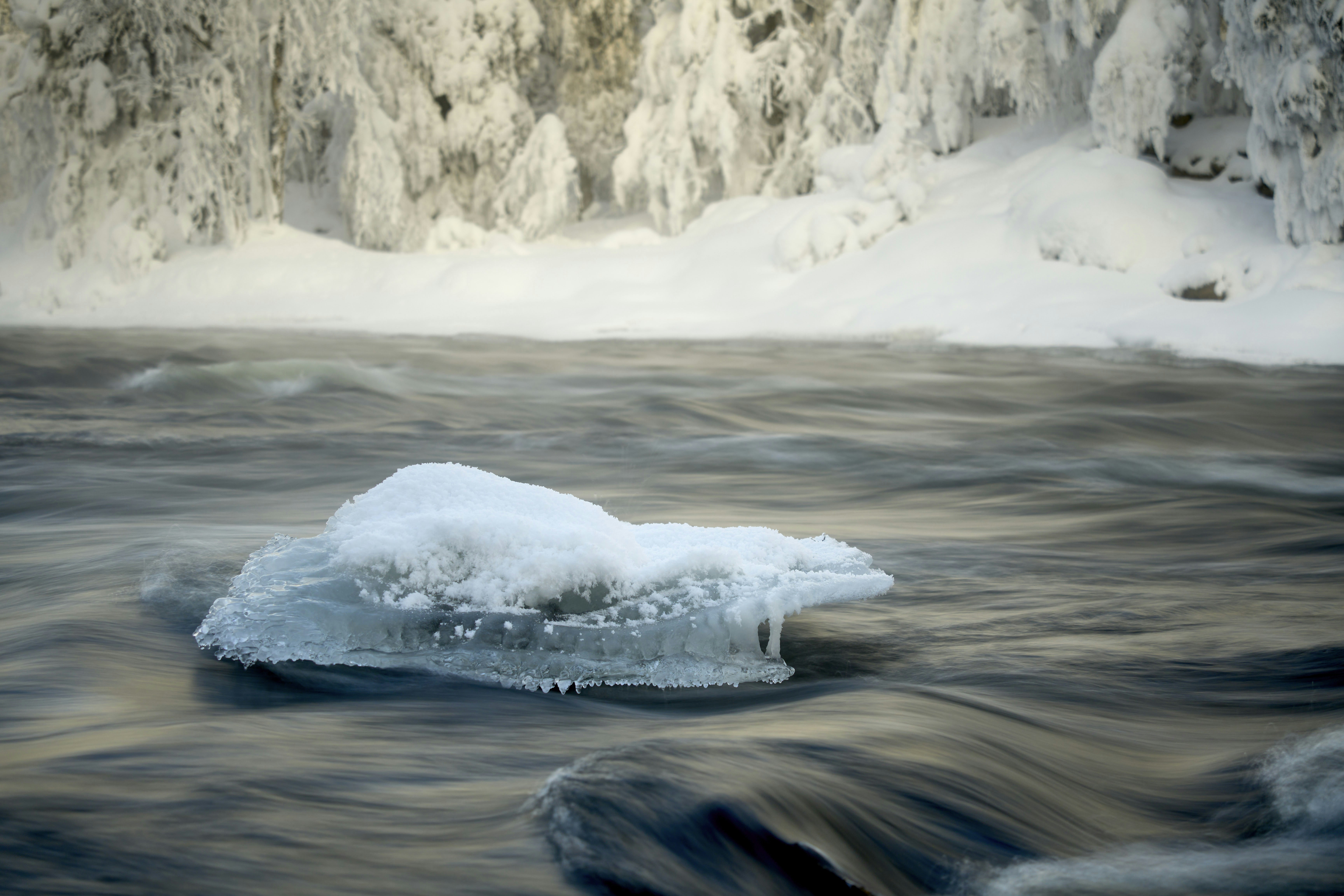 Floating Ice Gem in a Winter River Wisp