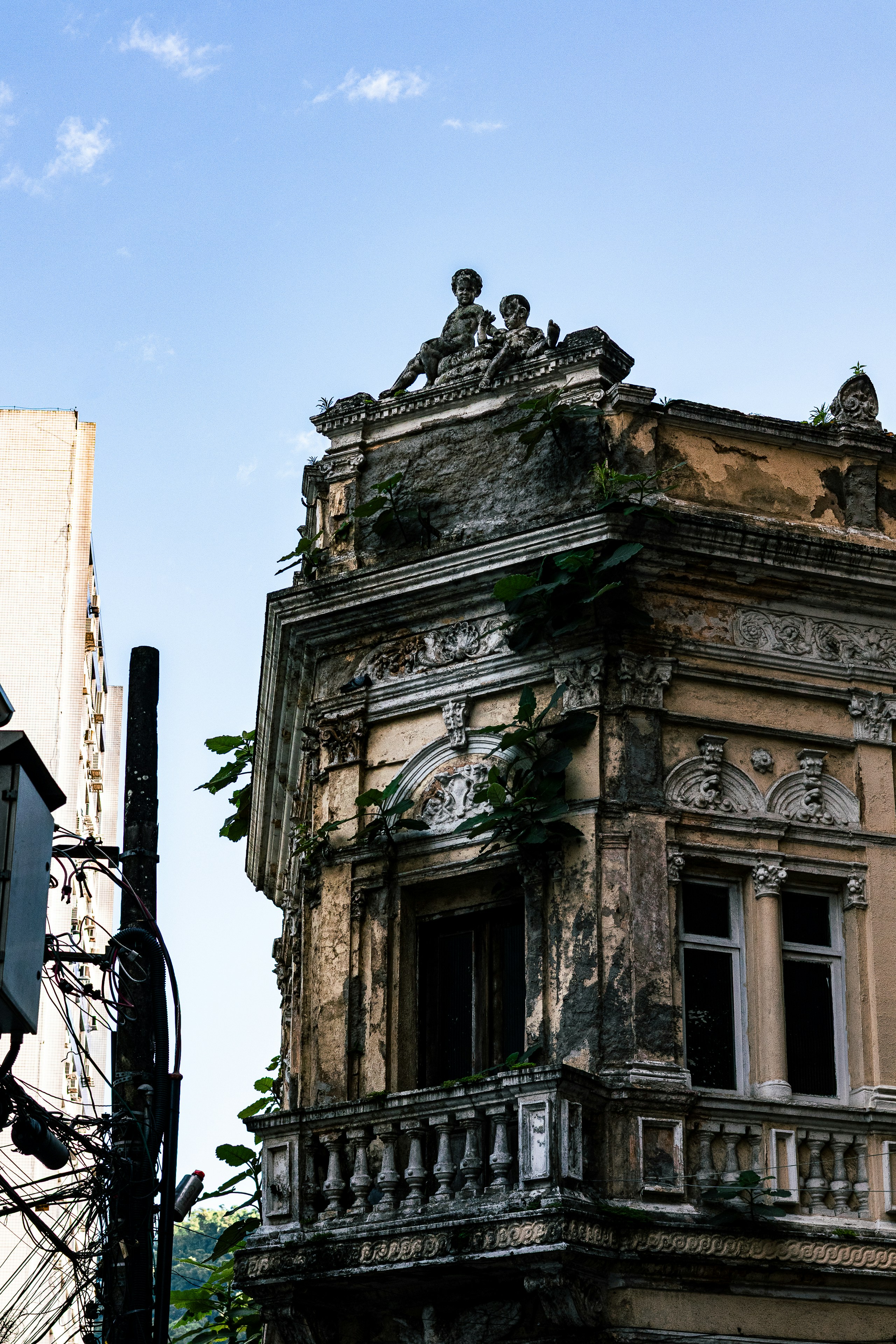 Heritage in Decay: The Overgrown Facade Reaches for the Sky