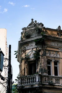 Heritage in Decay: The Overgrown Facade Reaches for the Sky