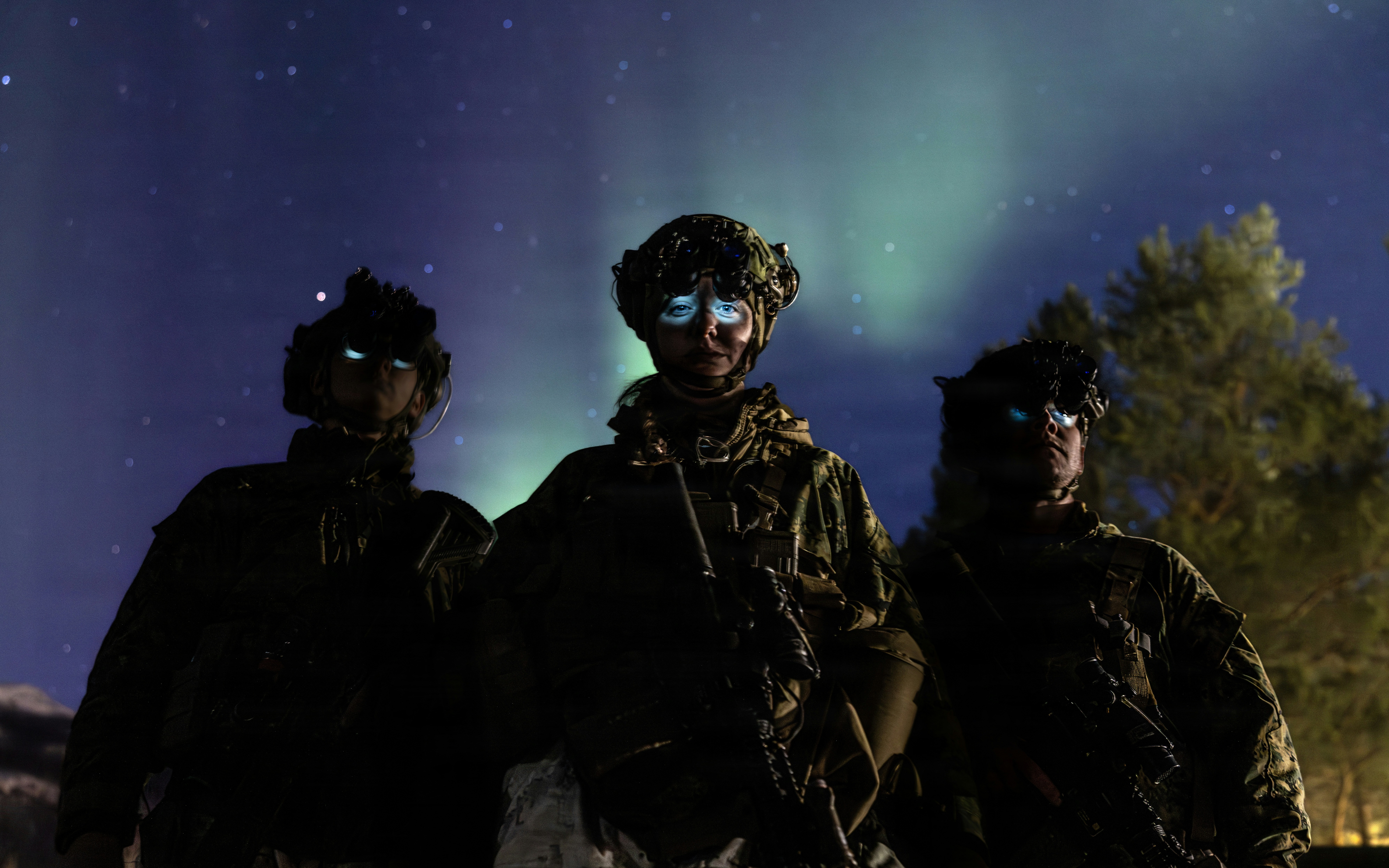 Aurora Watch: silhouettes beneath the icy sky