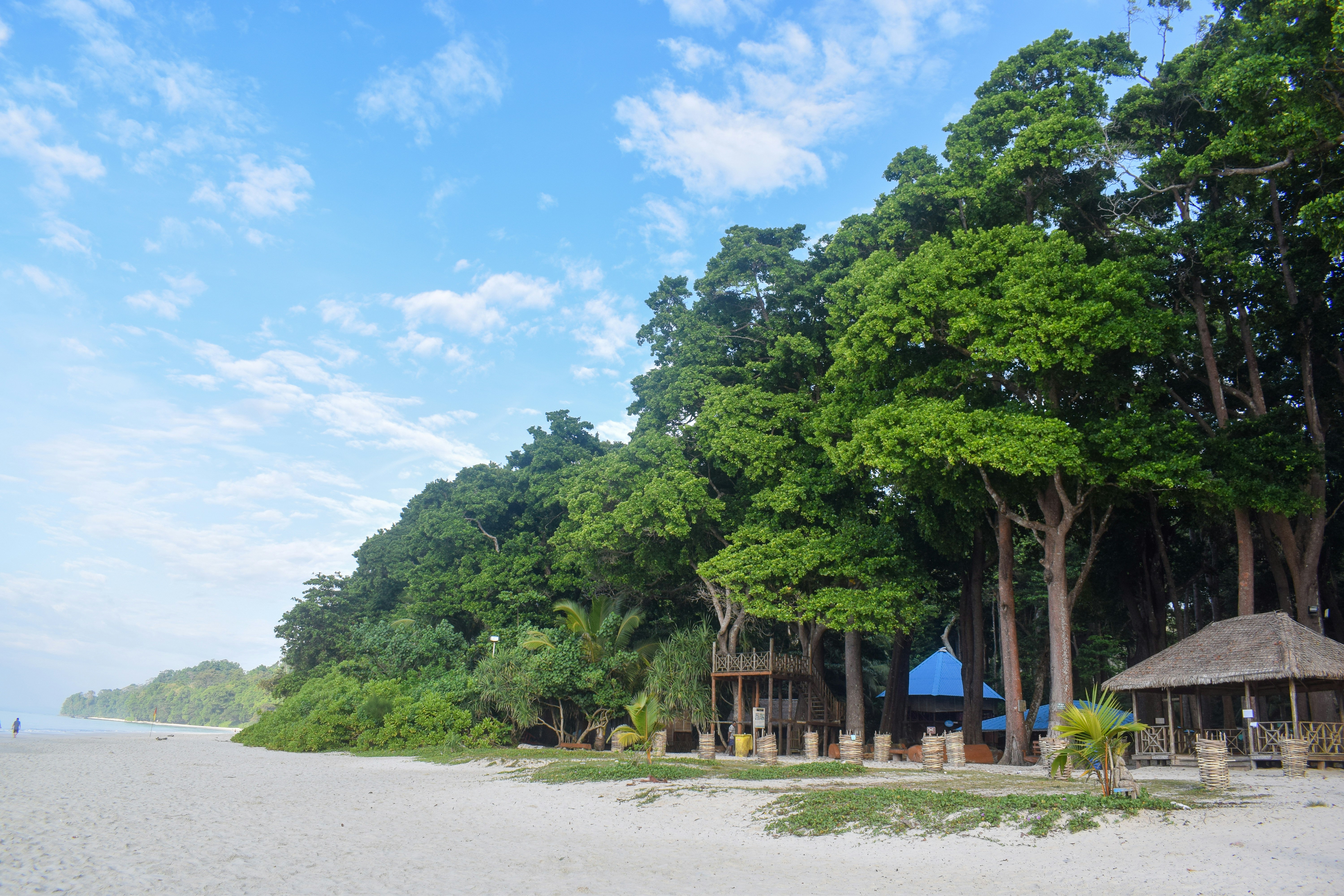 Coastal Lounge: Beachfront Trees and Huts at Quiet Shoreline