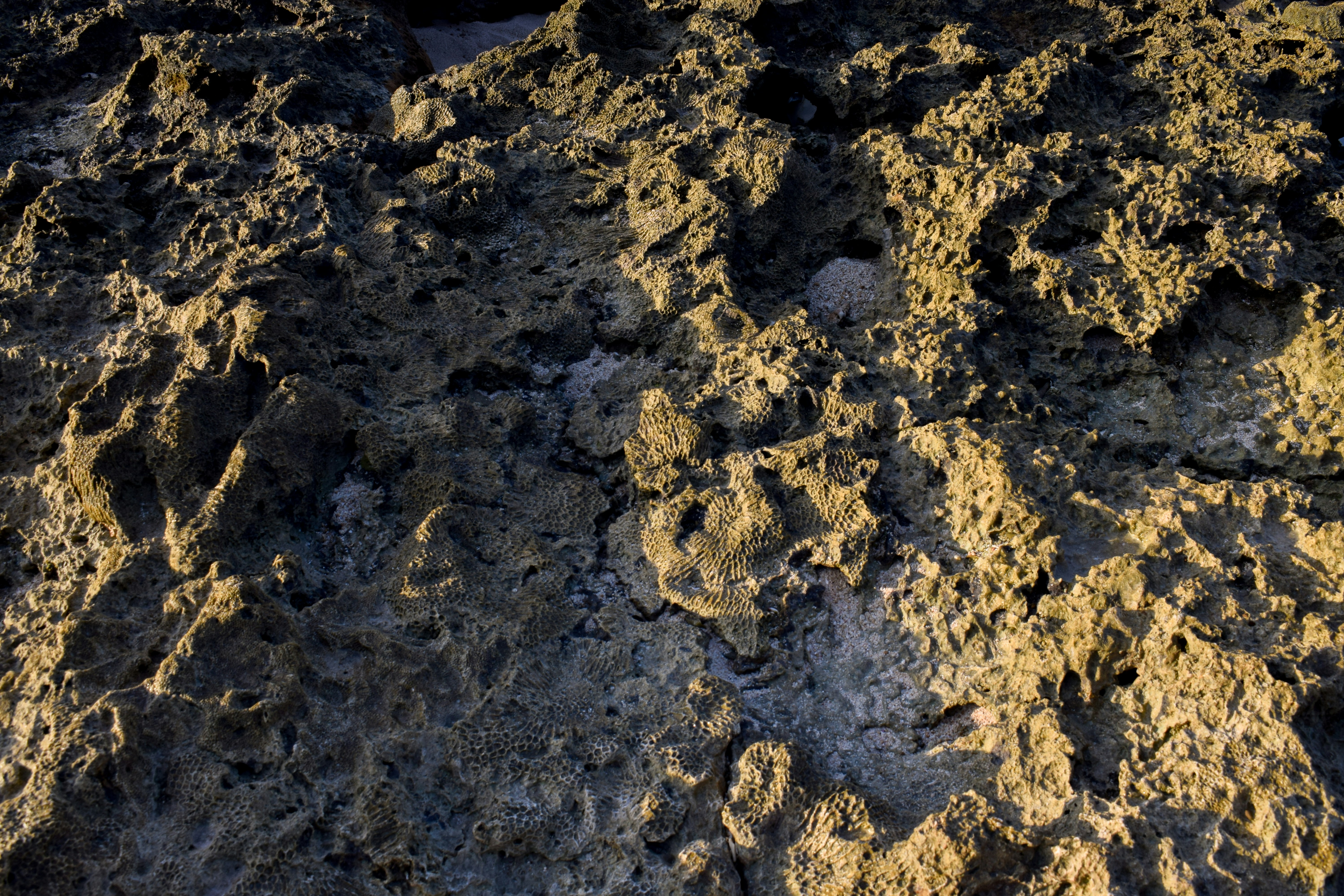 Lava-like Texture Under Evening Light