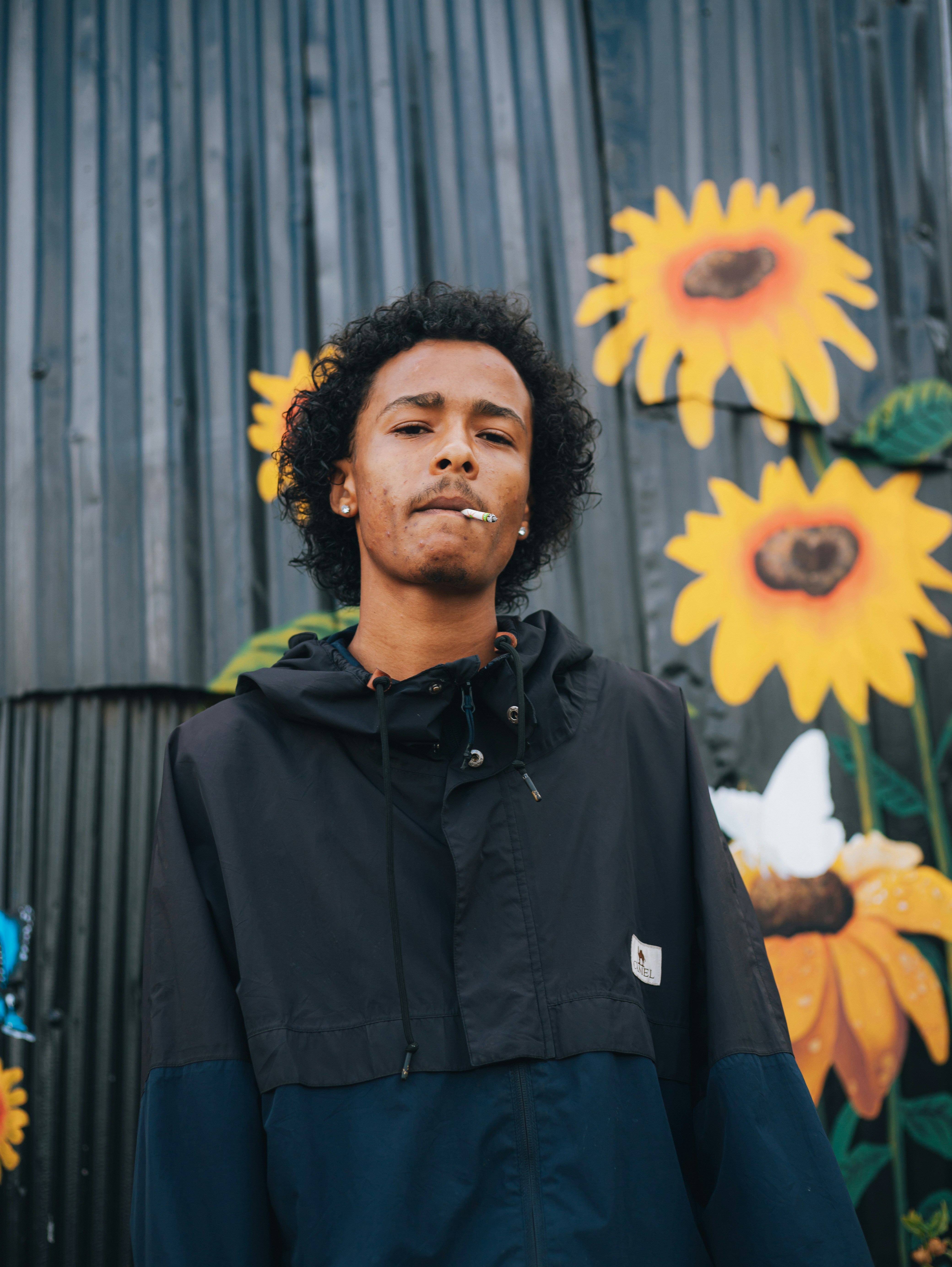 Sunlit Rebel in Front of Grass-Fielded Sunflowers