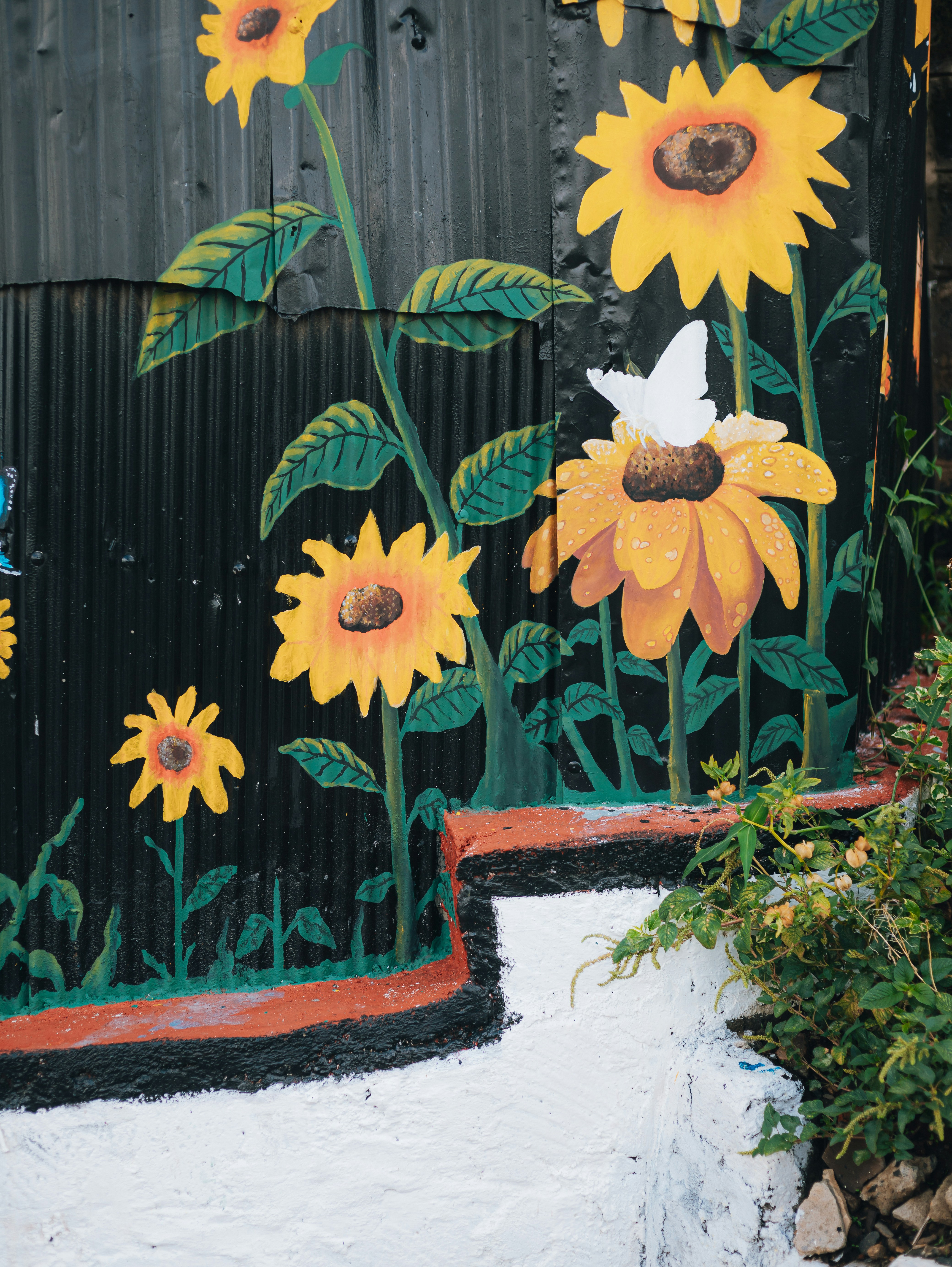 Sunflowers on a Painted Wall: Bright Wardrobe of Urban Prairie