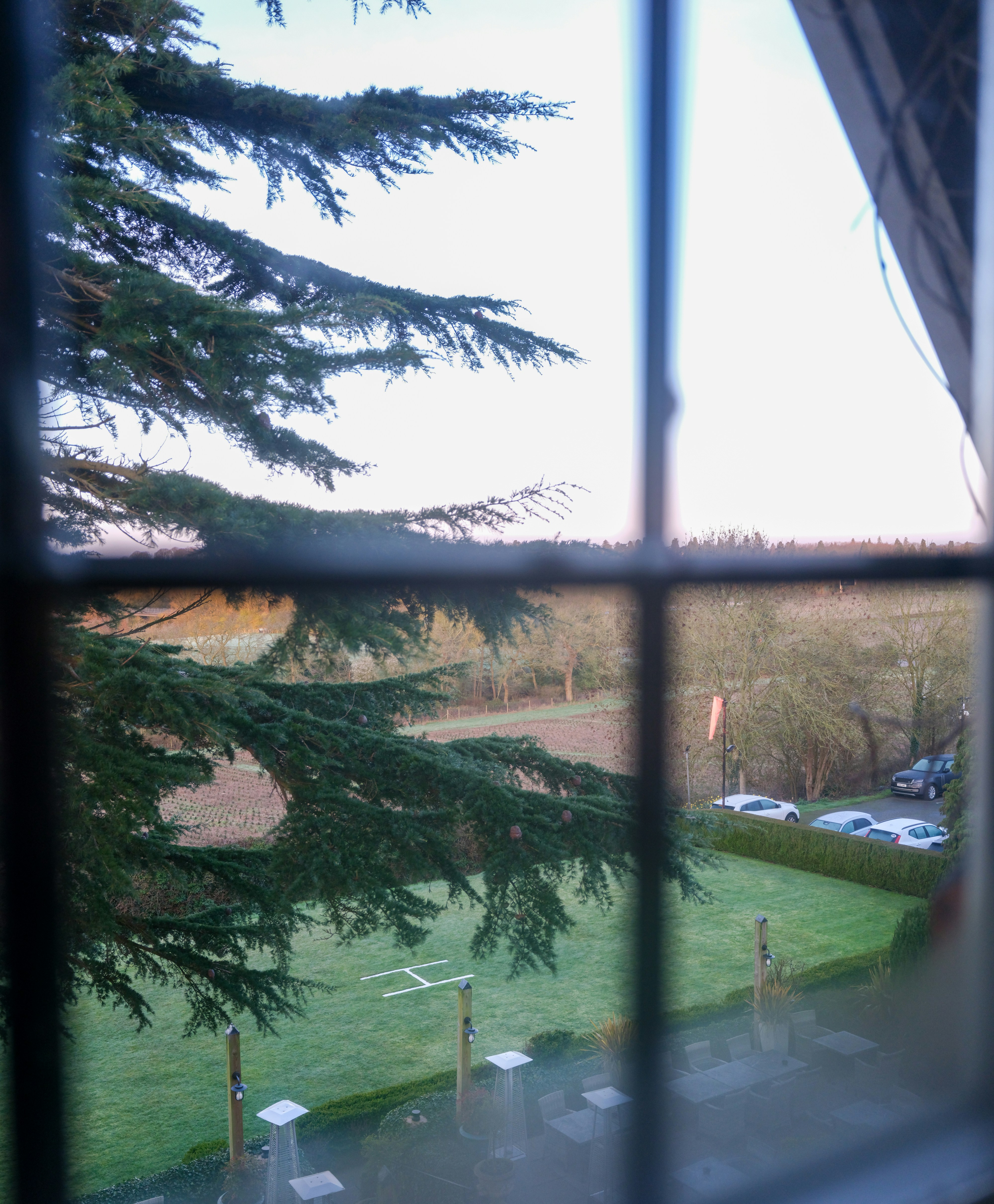 Windowed Landscape: Trees and Lawn Beyond a Grided Pane