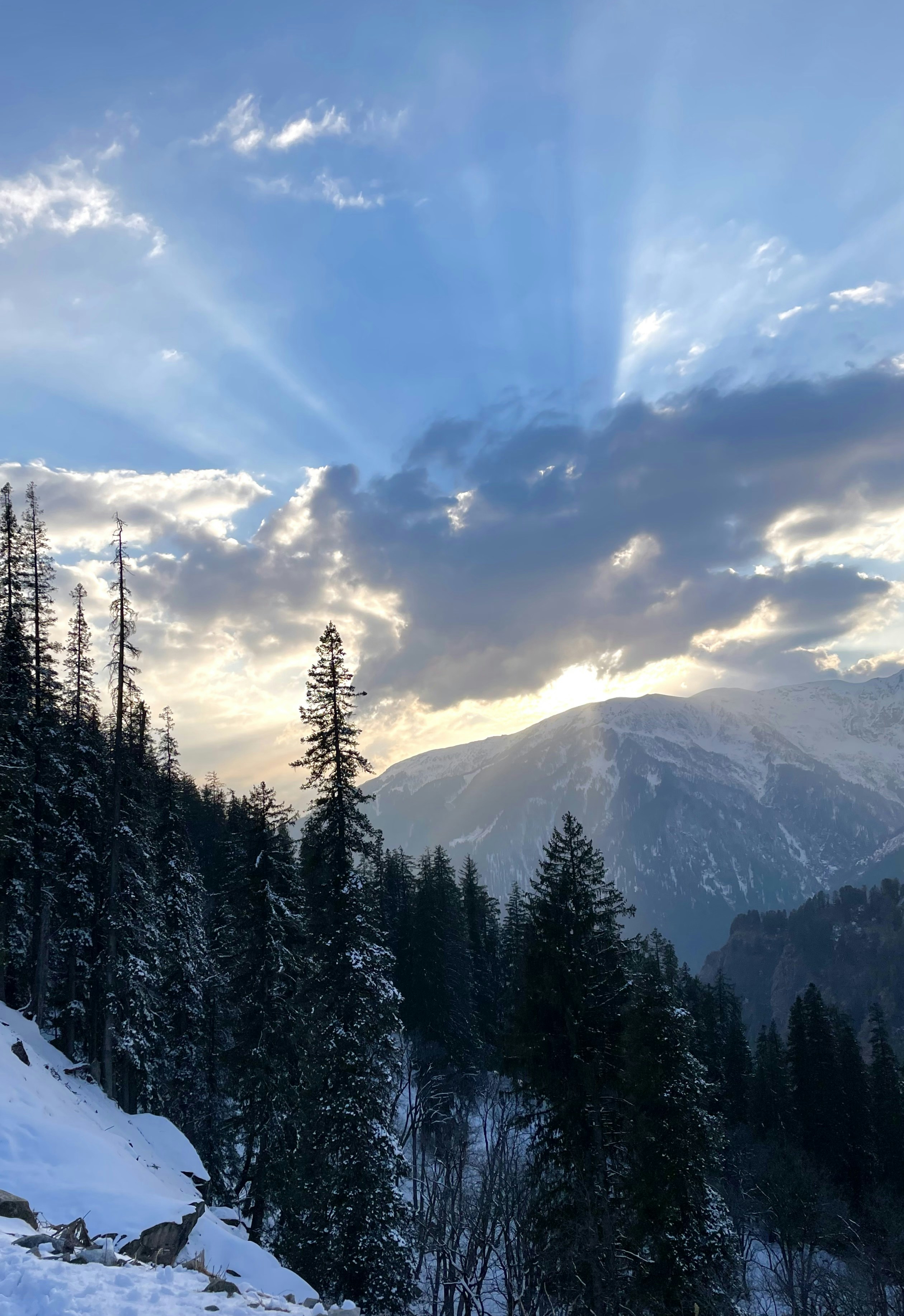 Sunlit Alpine Crest: Clouds Break Over Snowy Pines