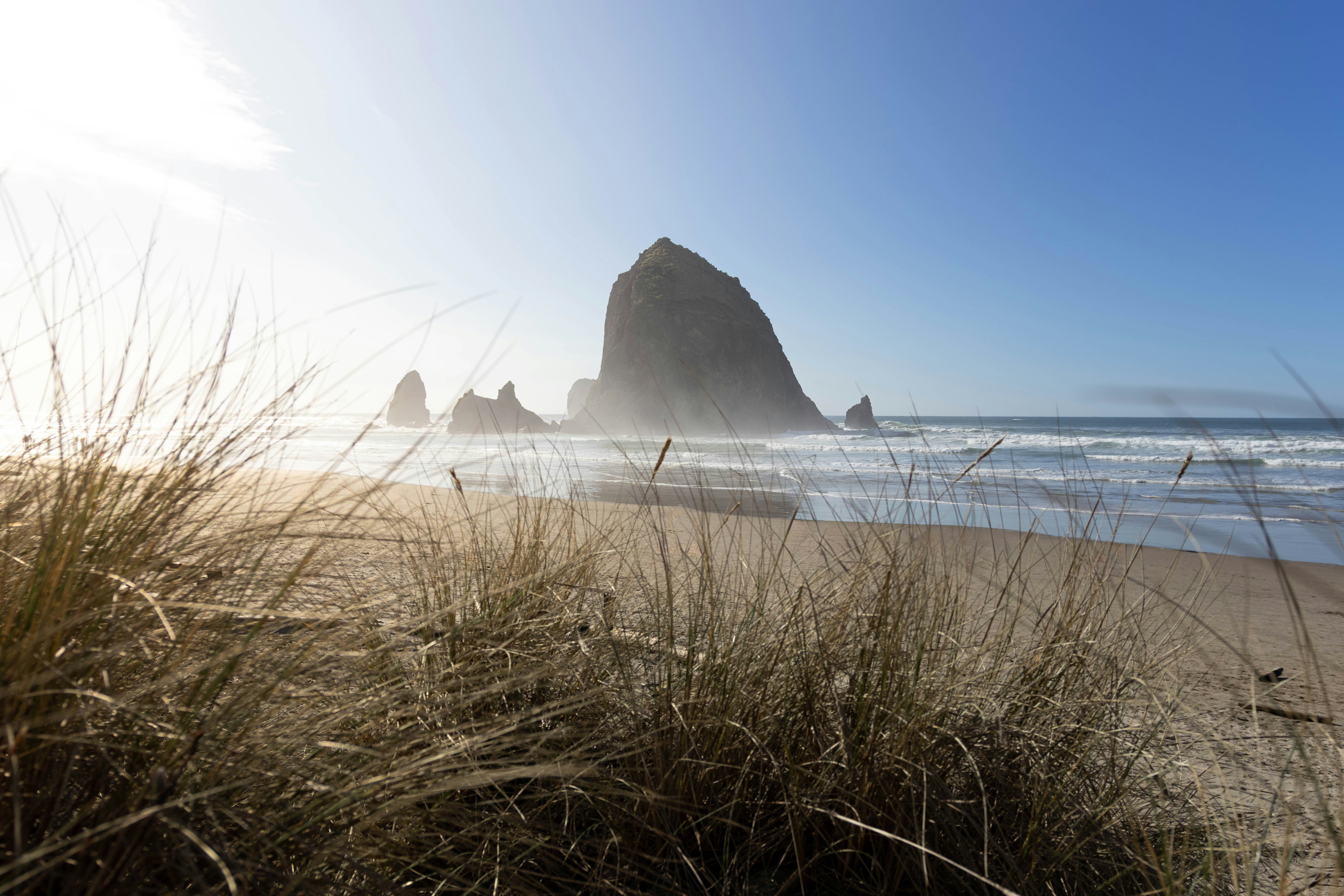 Sea Stack Sentinel Over Wind-Swept Dunes
