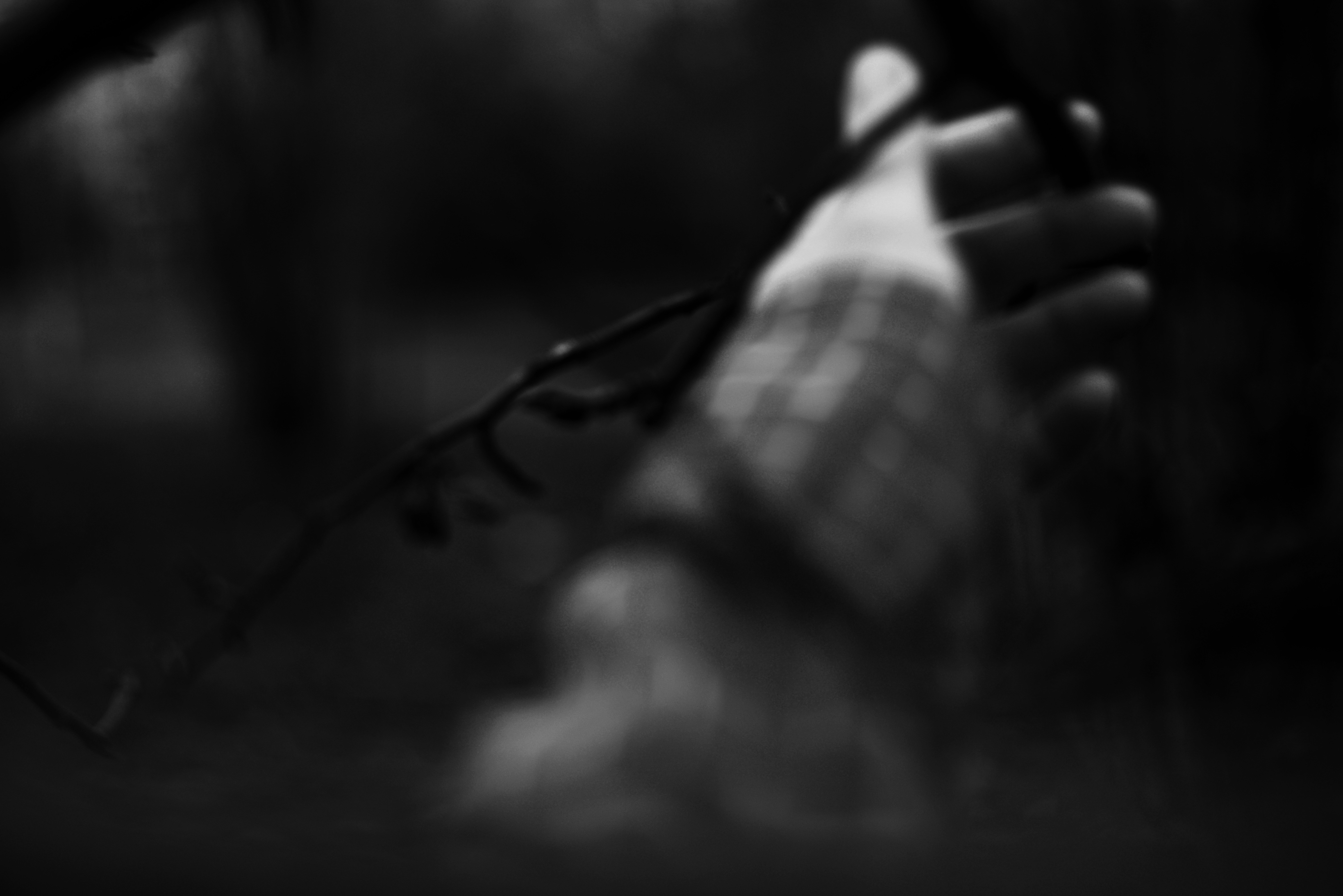 Blurred Gesture in the Dark: A Quiet Reach