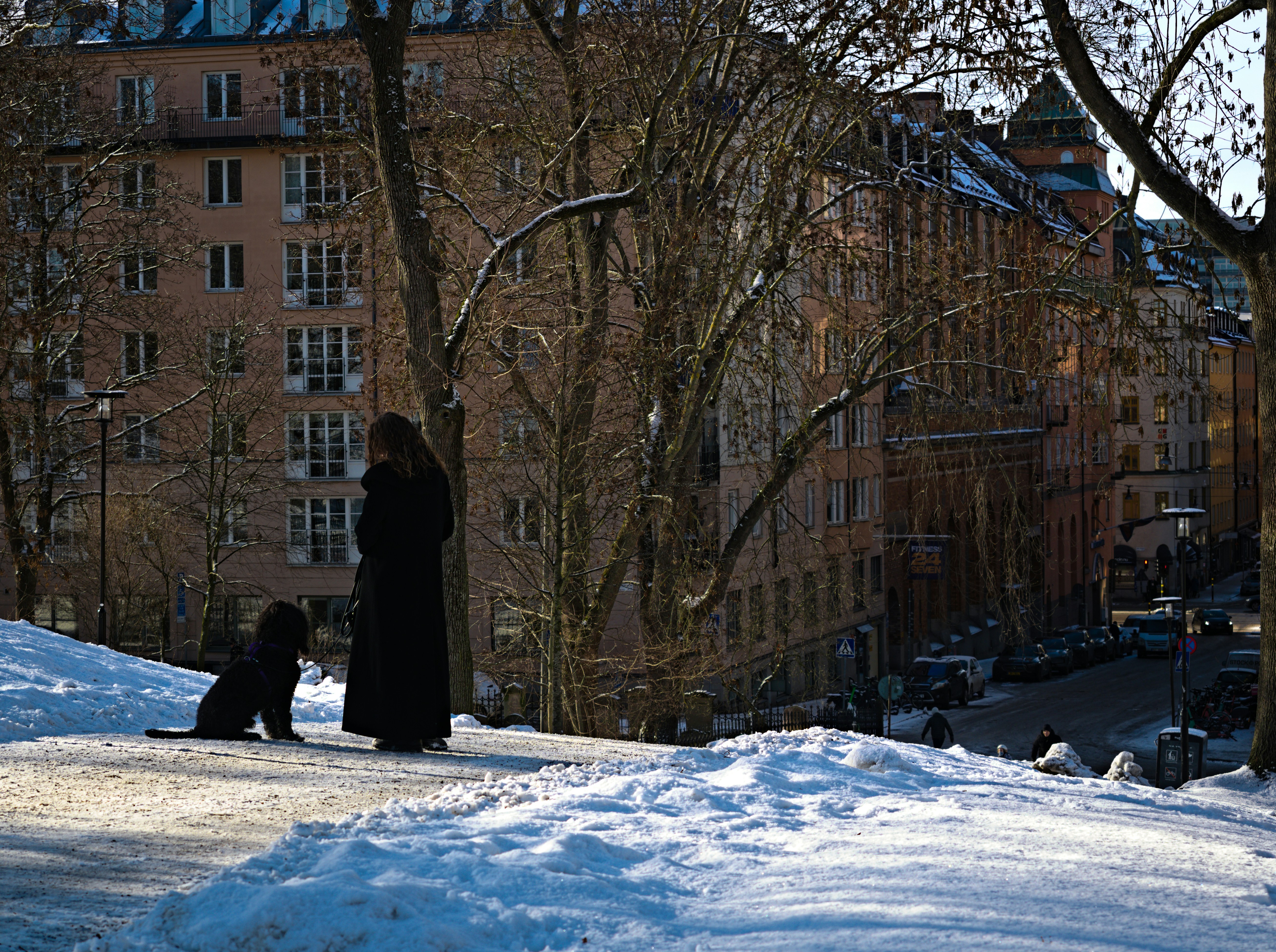 Winter Terrace: A Quiet Exchange Between Stranger and Dog