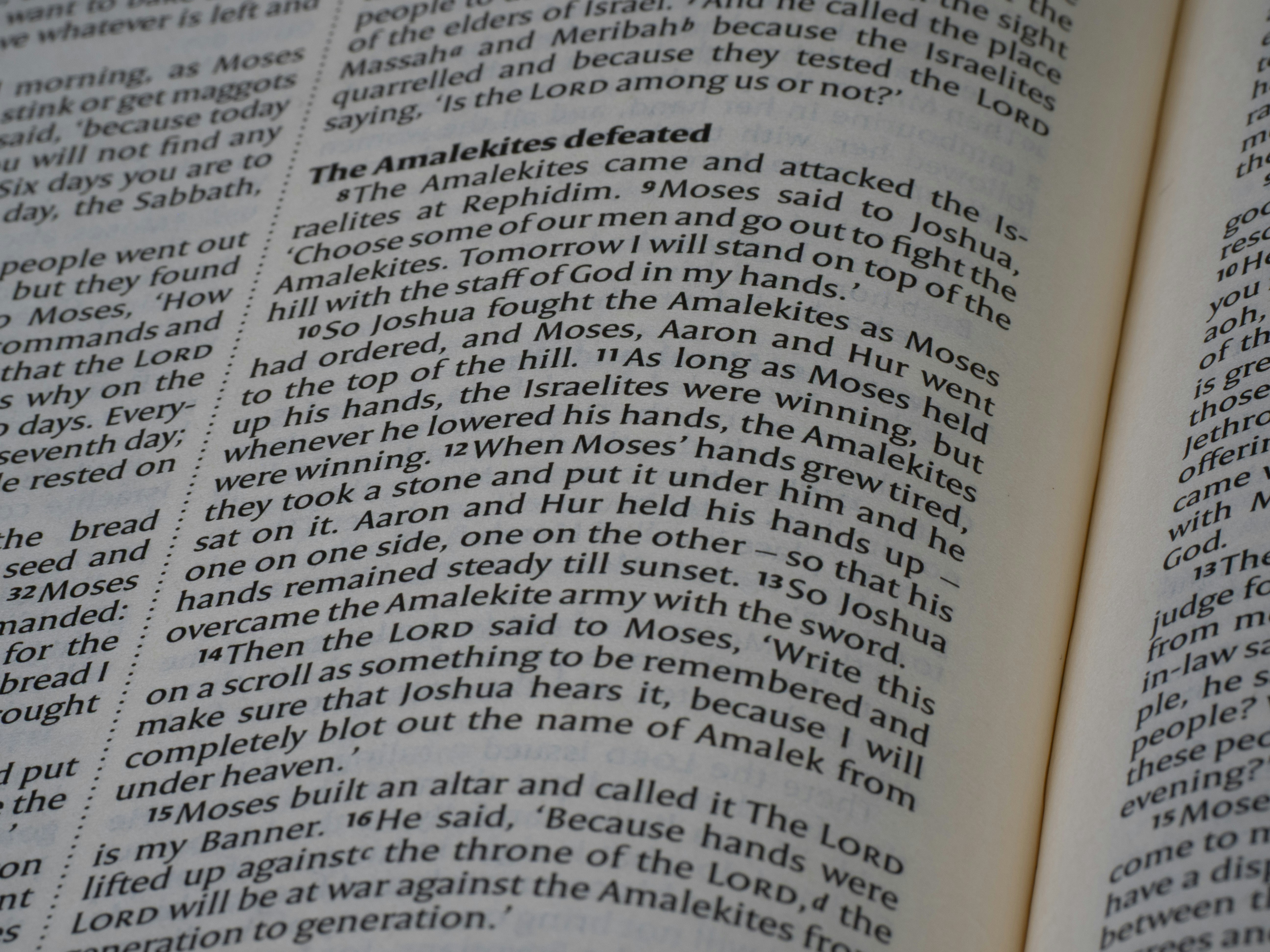A Quiet Moment in Curled Script: Bible Page Close-Up