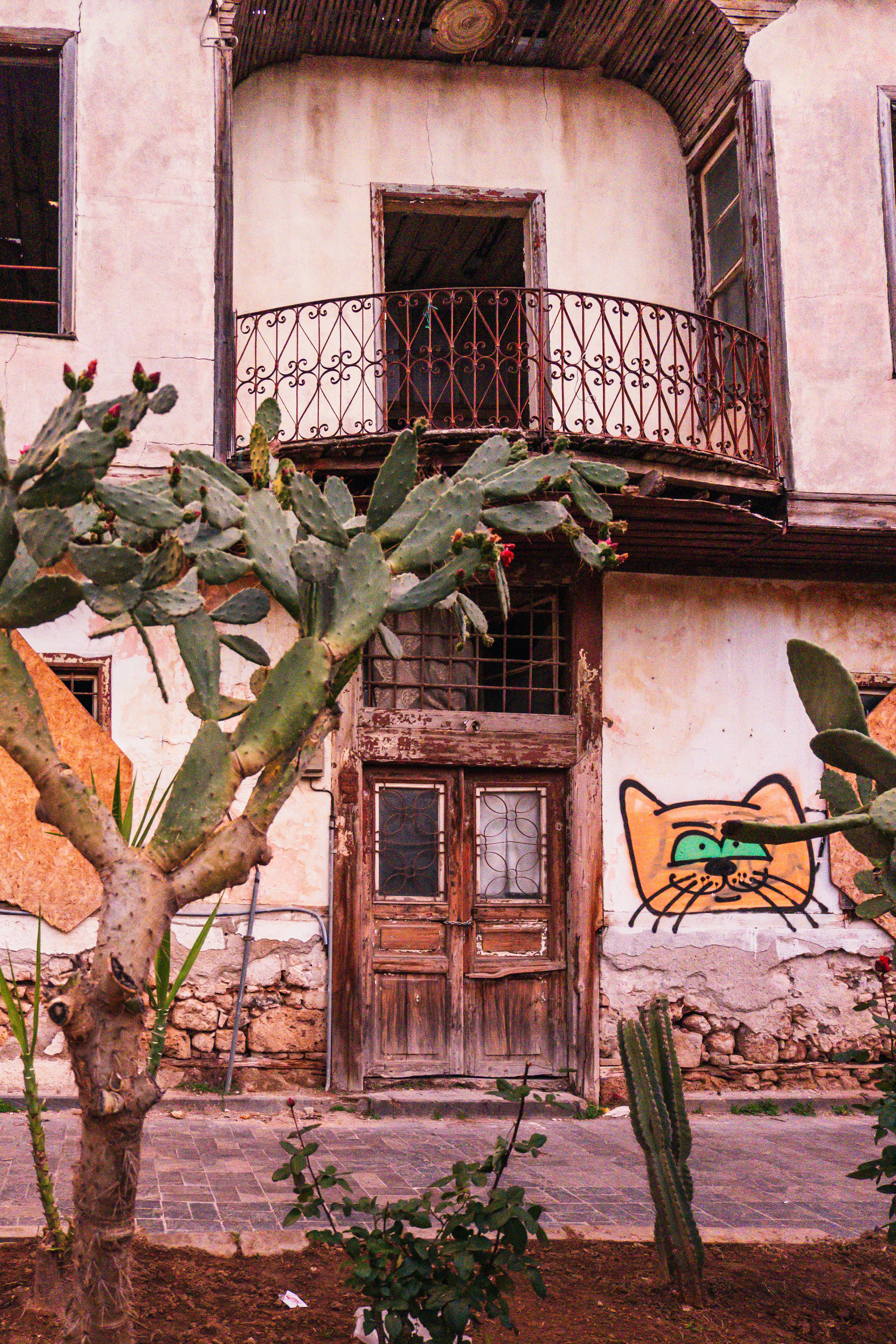 Hidden Cat mural beside withered doorway and prickly courtyard