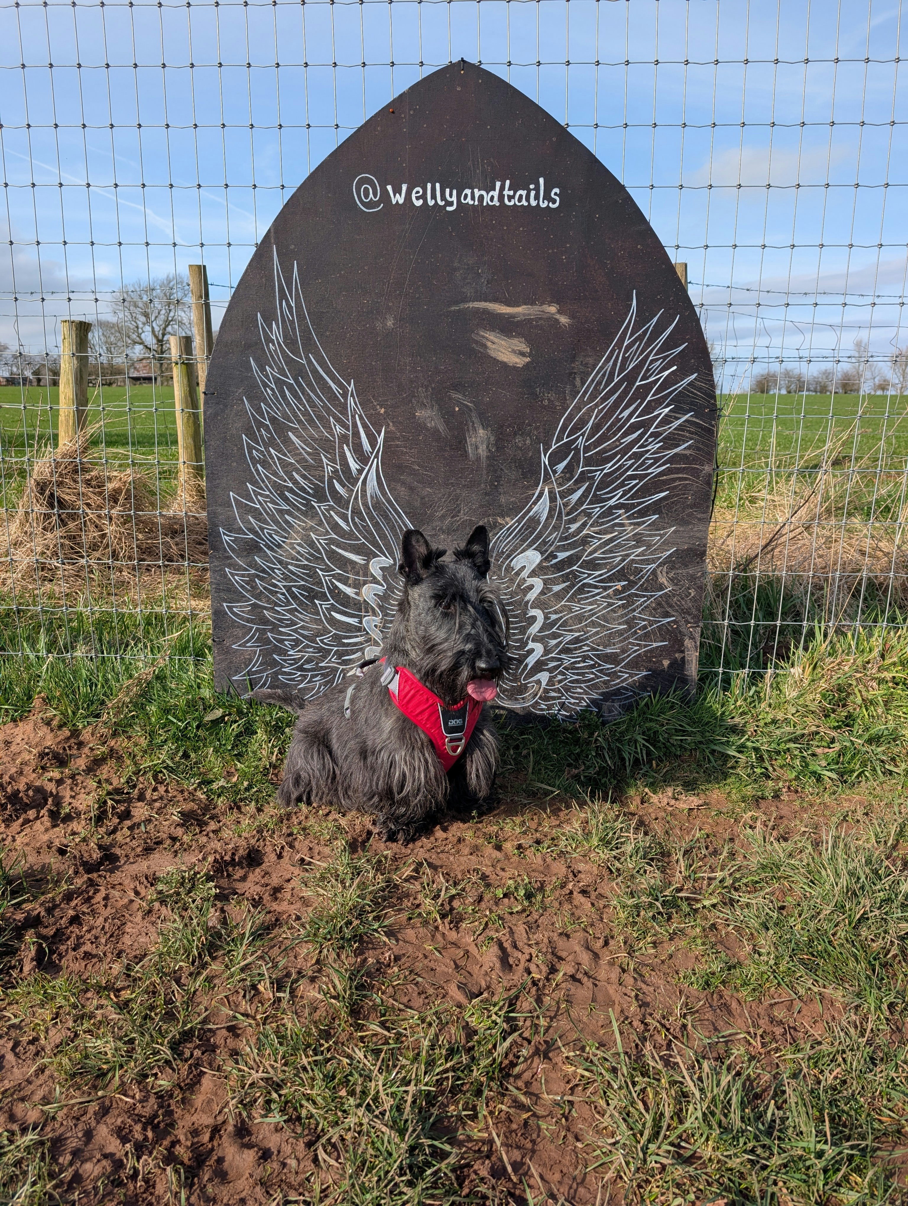 Winged Memorial: Dog at the Winged Gravestone