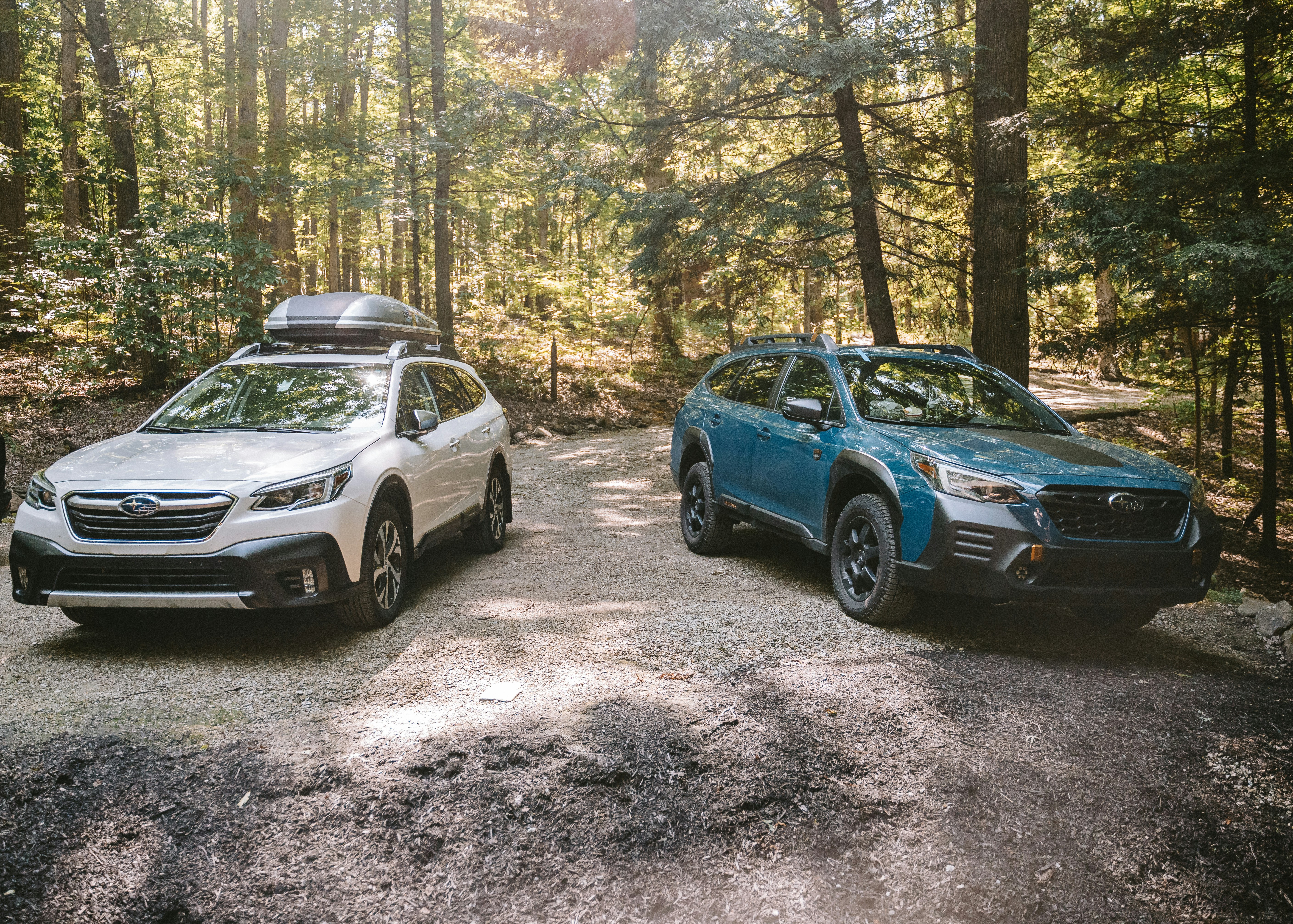 Two Adventure Wagons in Dappled Forest Parking