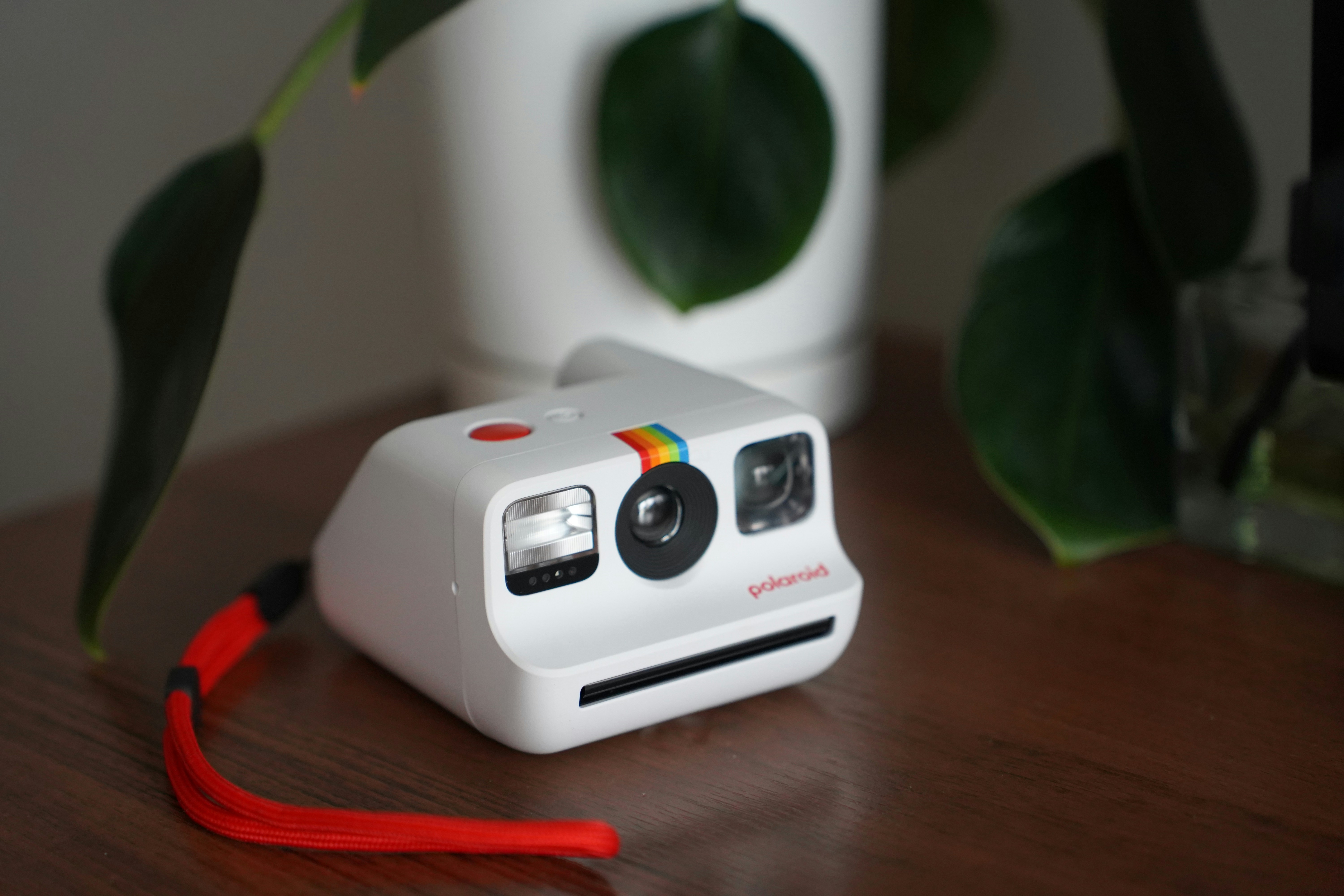 Rainbow Stripe Polaroid on Wooden Desk