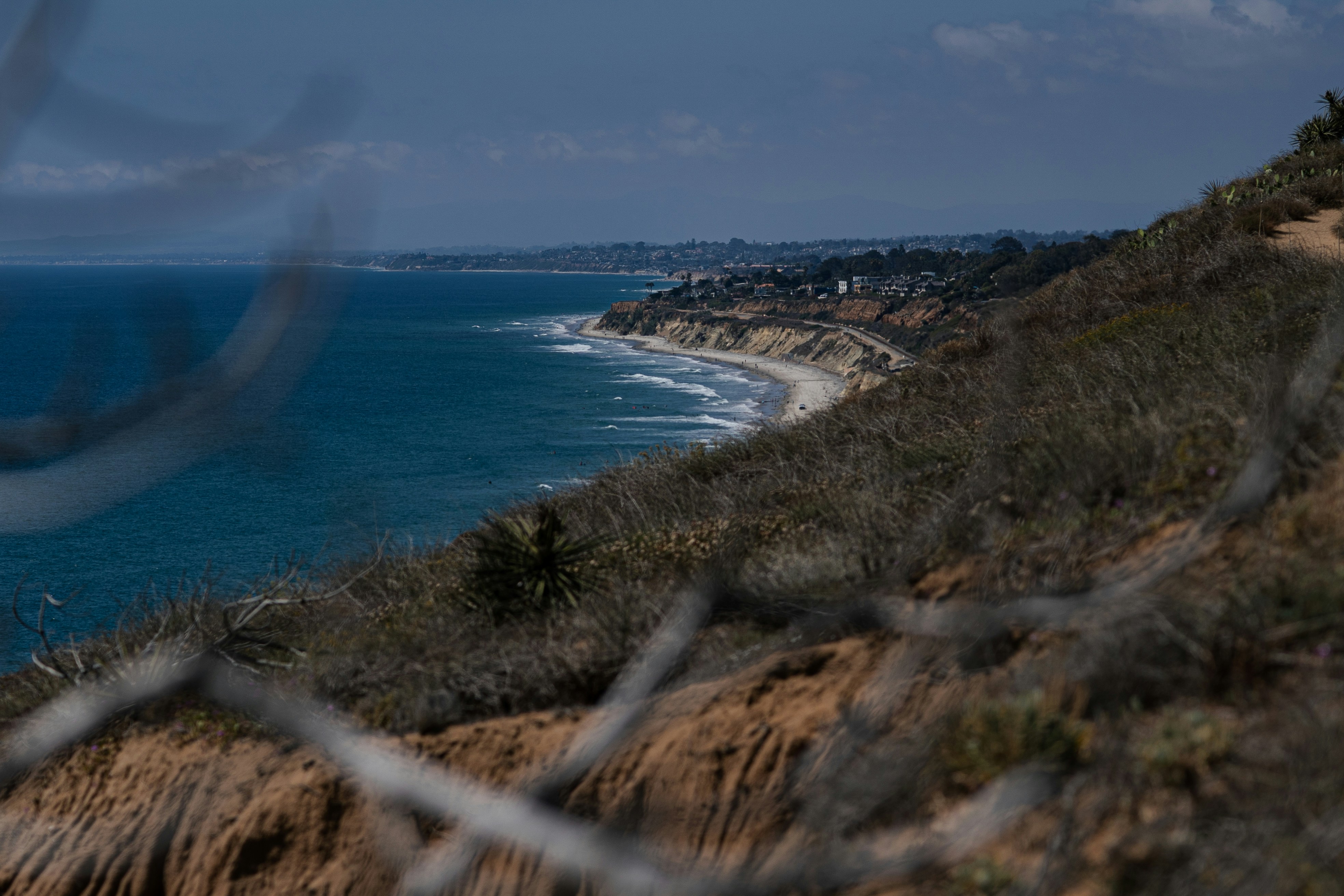 Coastal Ridge: Blue Waters Beyond a Wind-Swept Slope
