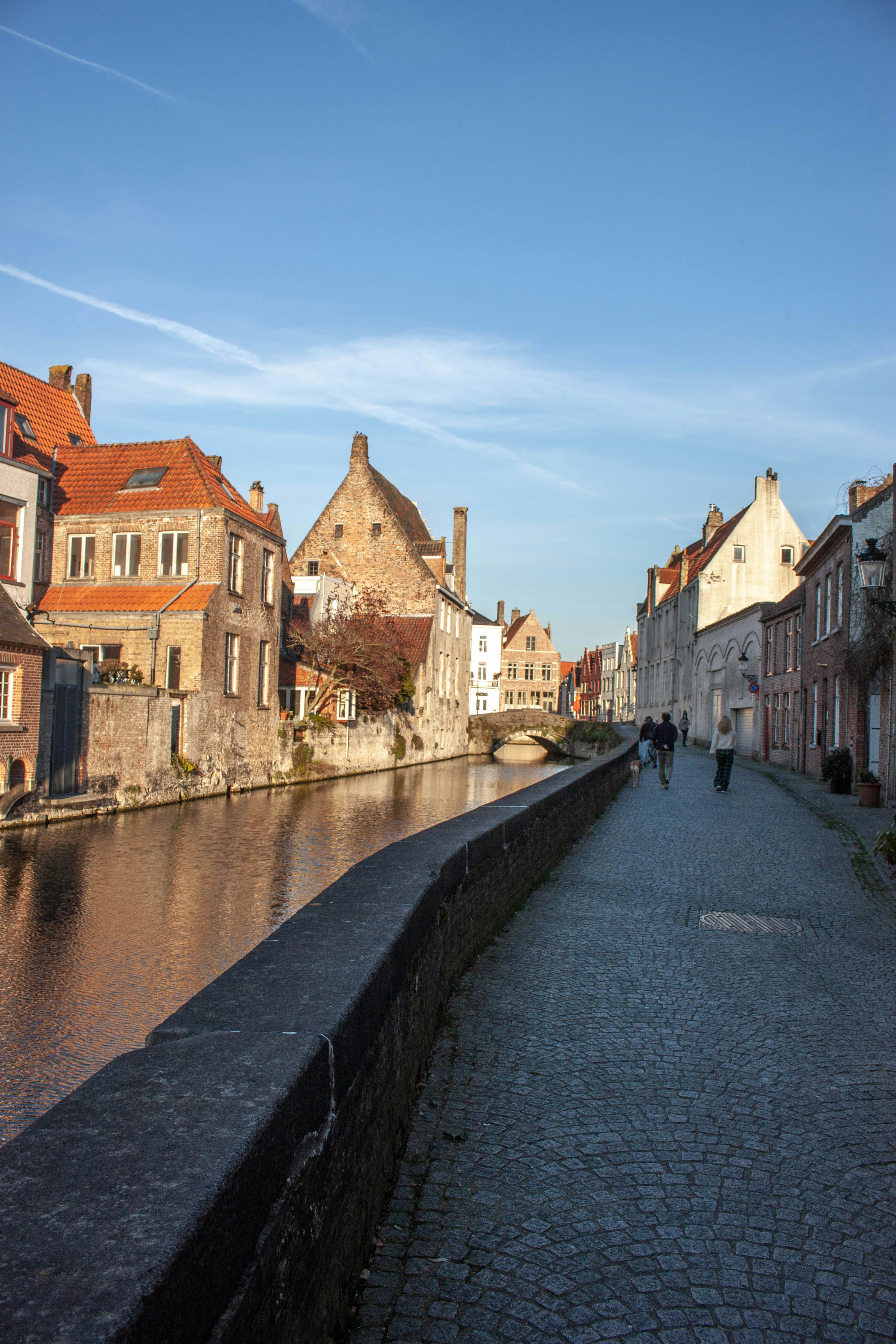 Waterfront Lane in a Flemish-Style Town
