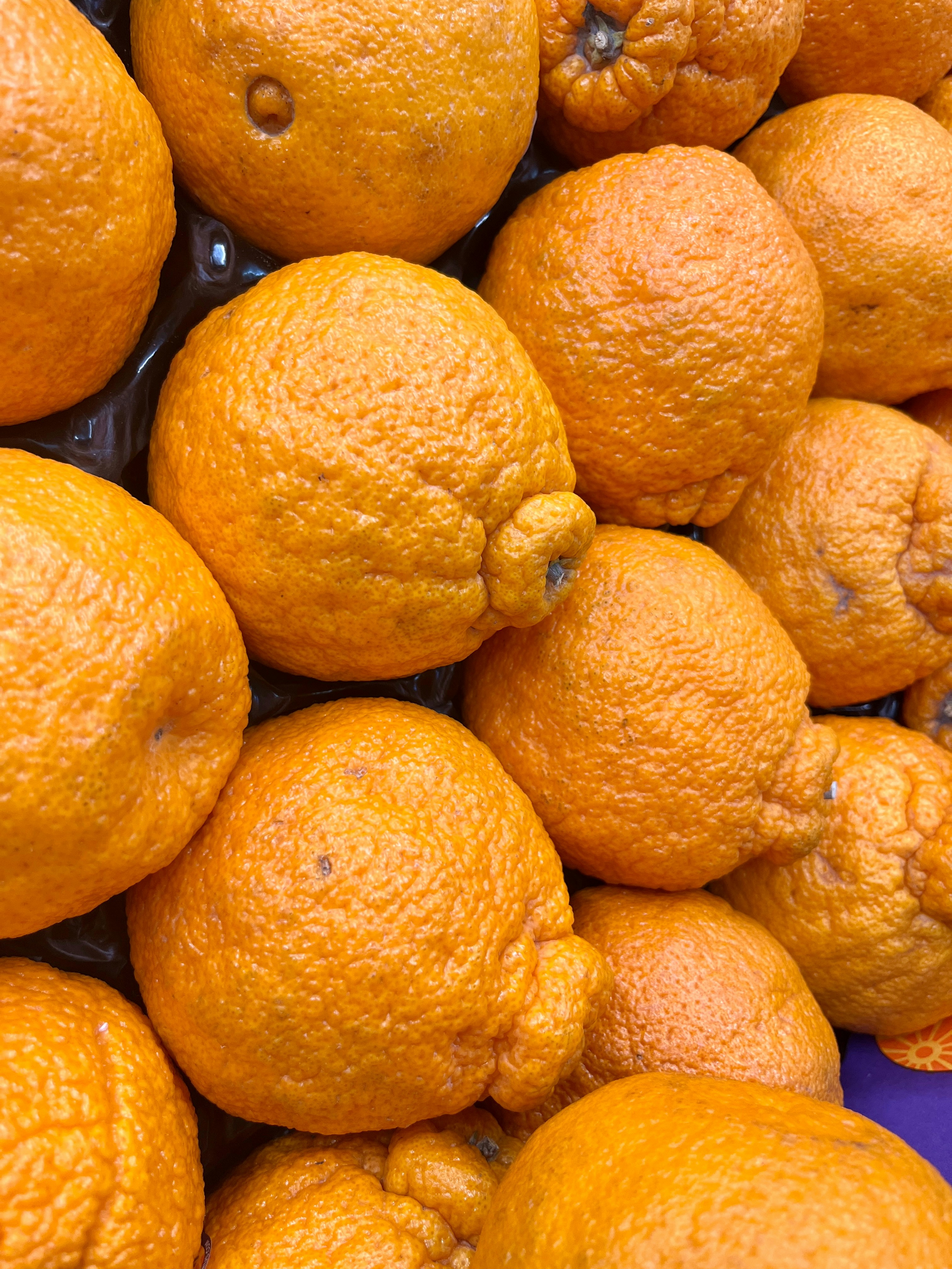 Bright Citrus Ensemble: Close-Up of Orange Groves of Texture