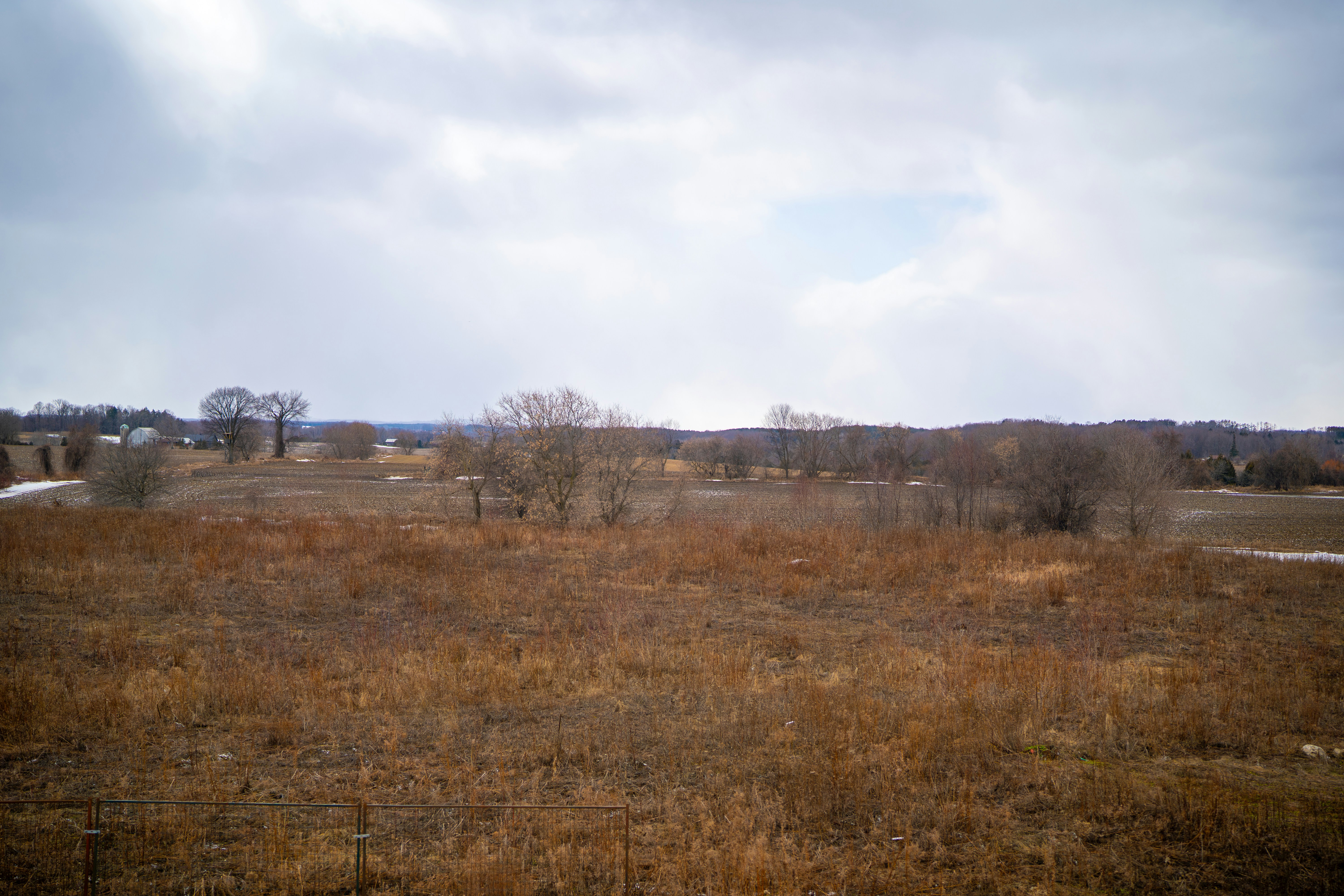 Winter Field Ledger: A Quiet Prairie under a Brooding Sky