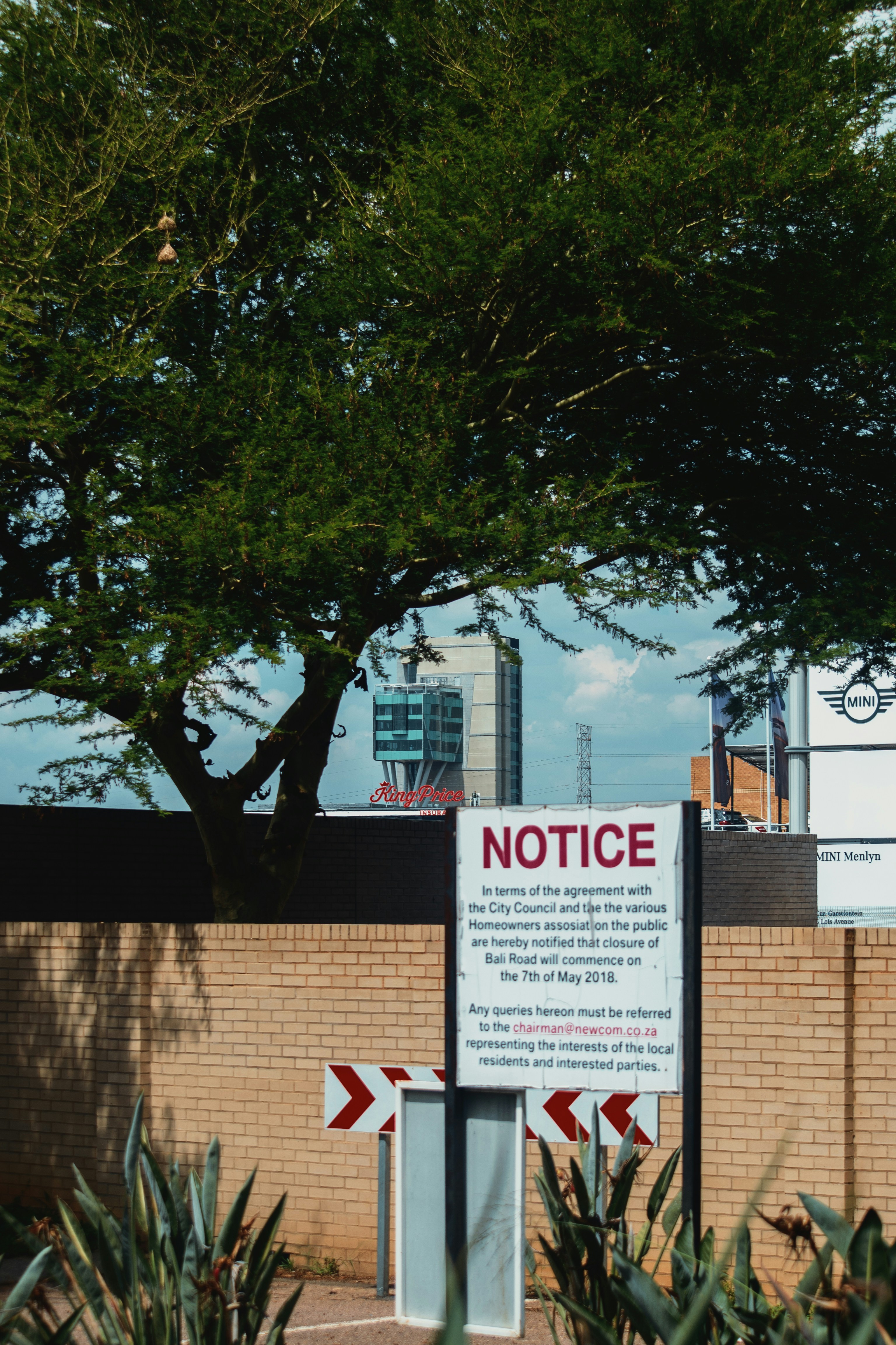 Notice Sign Framed by Urban Foliage