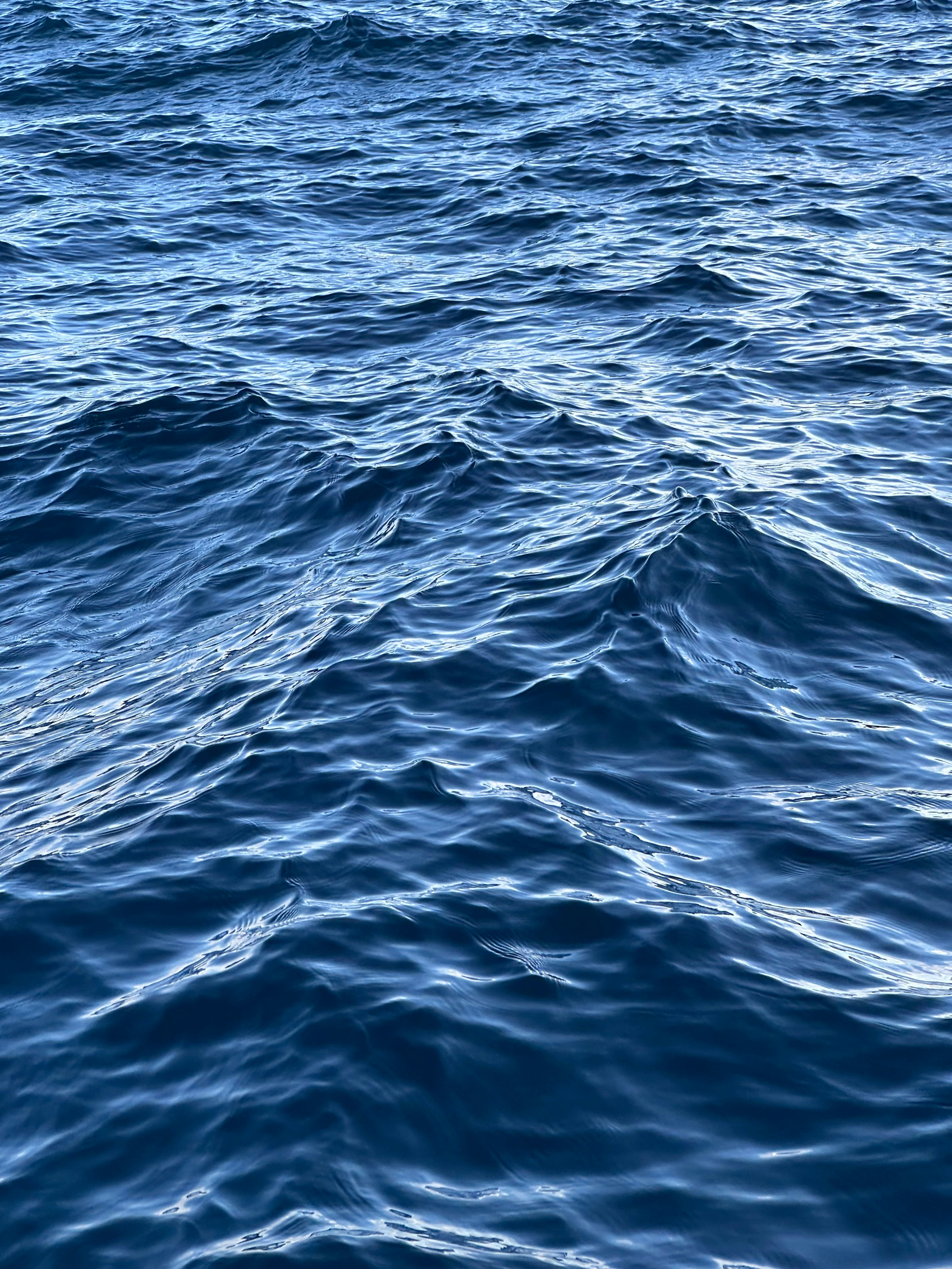 Waves in Blue: a Vast Ocean Surface in Soft Rhythm