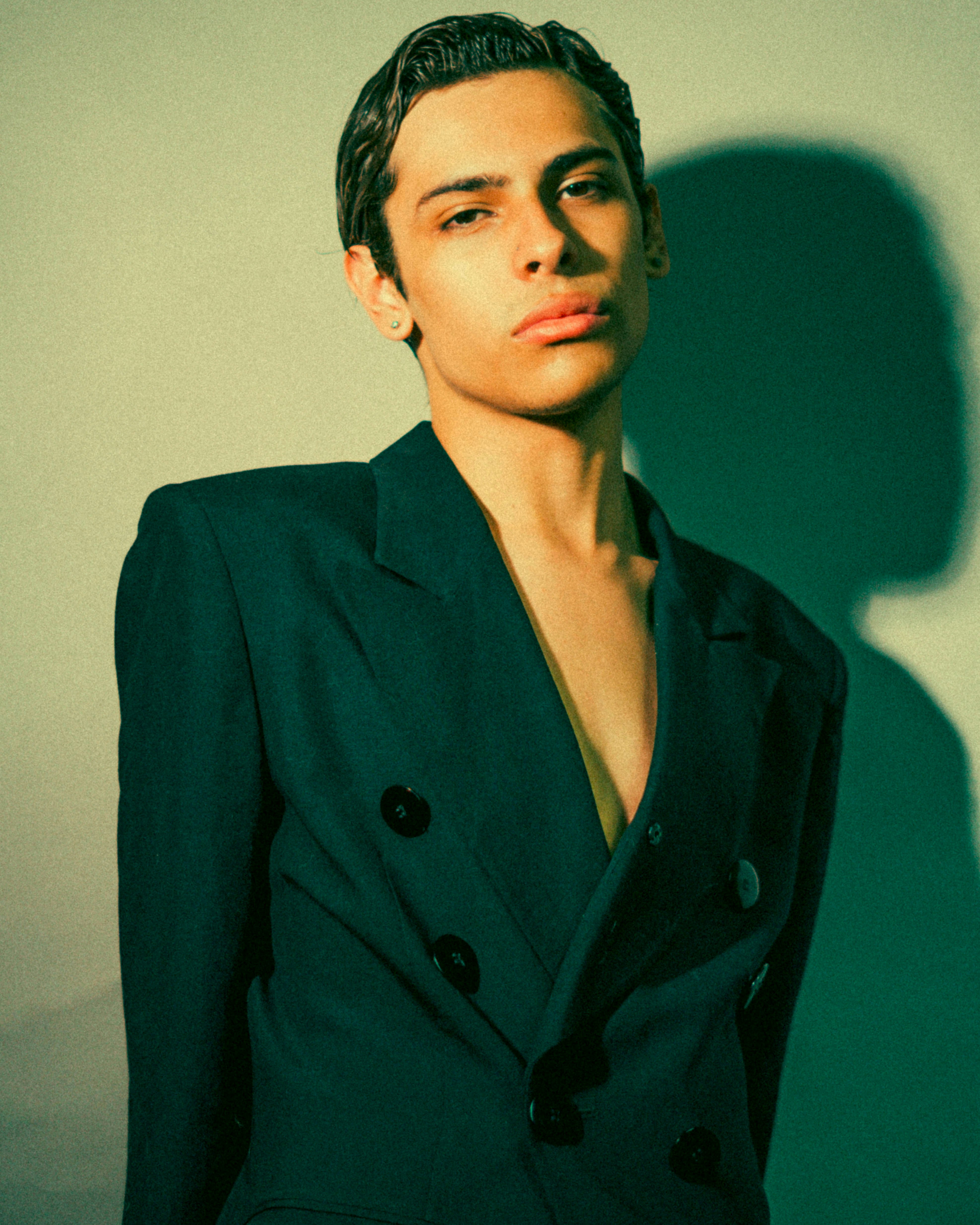 Shadowed Verve: A Tailored Silence