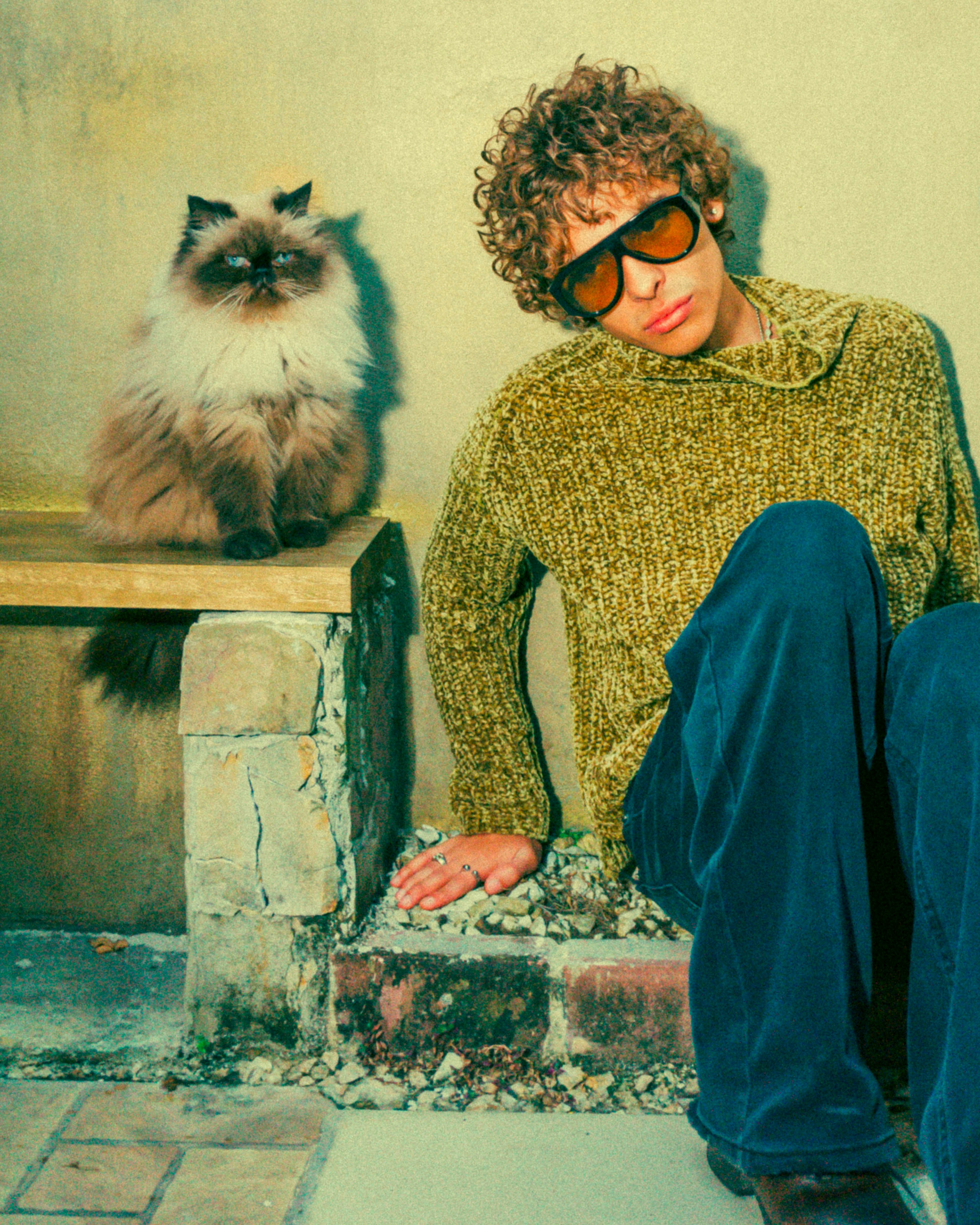 Heron Glasses and Gray Purr: A Moment on the Steps