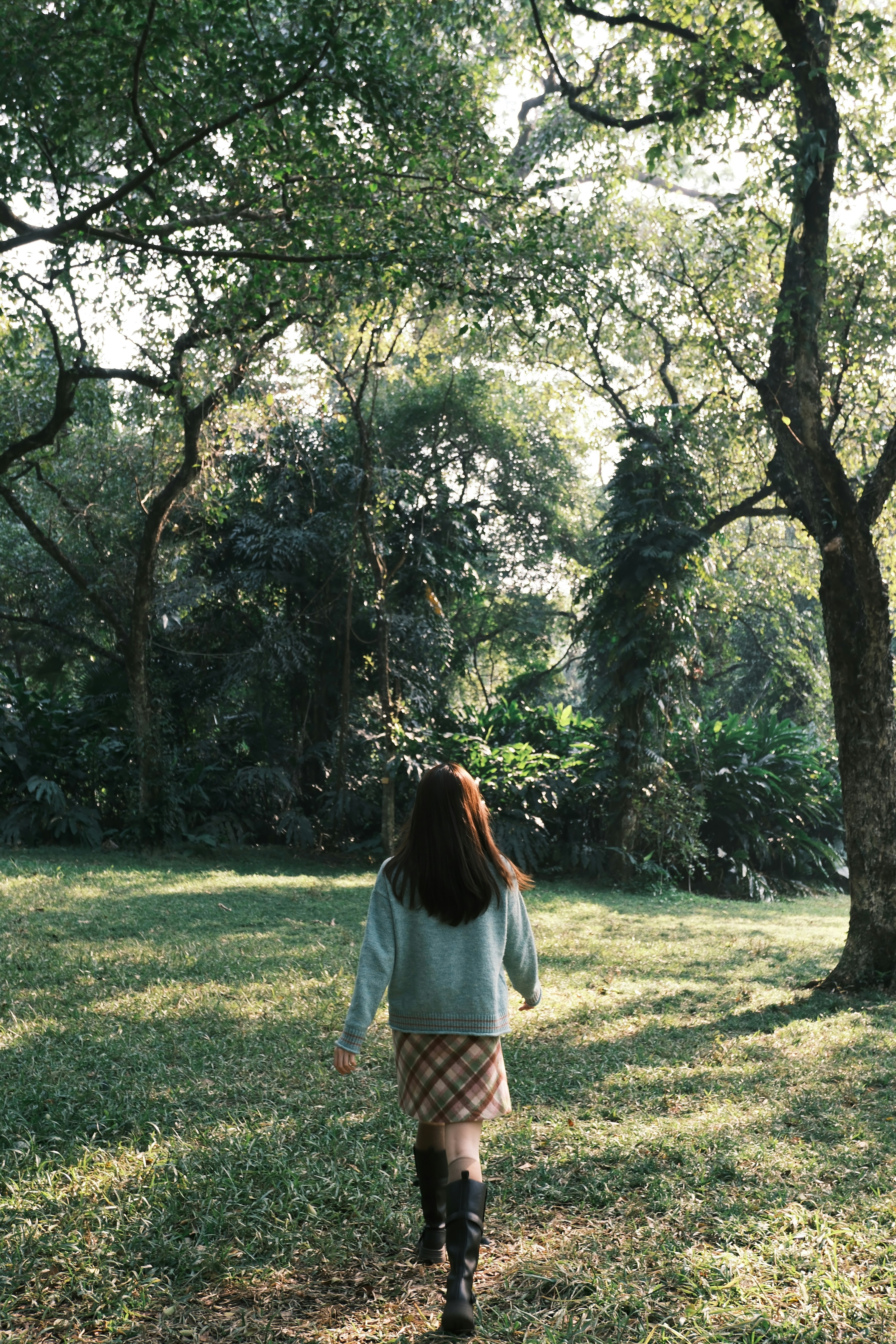 Into the Dappled Clearing: A Figure Steps Toward the Light