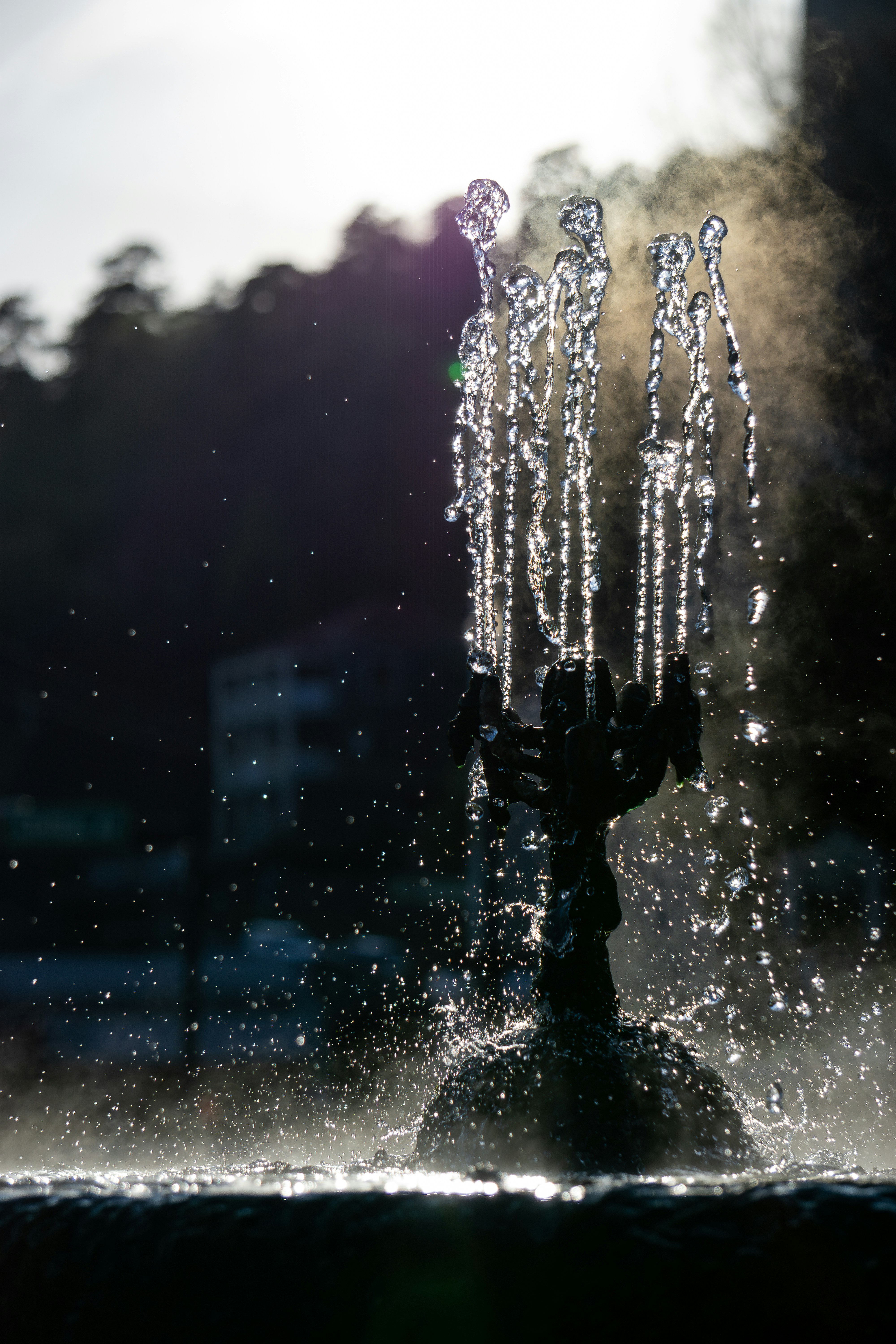 Rain of Light: Water Jet Portrait in Silhouetted Fountain