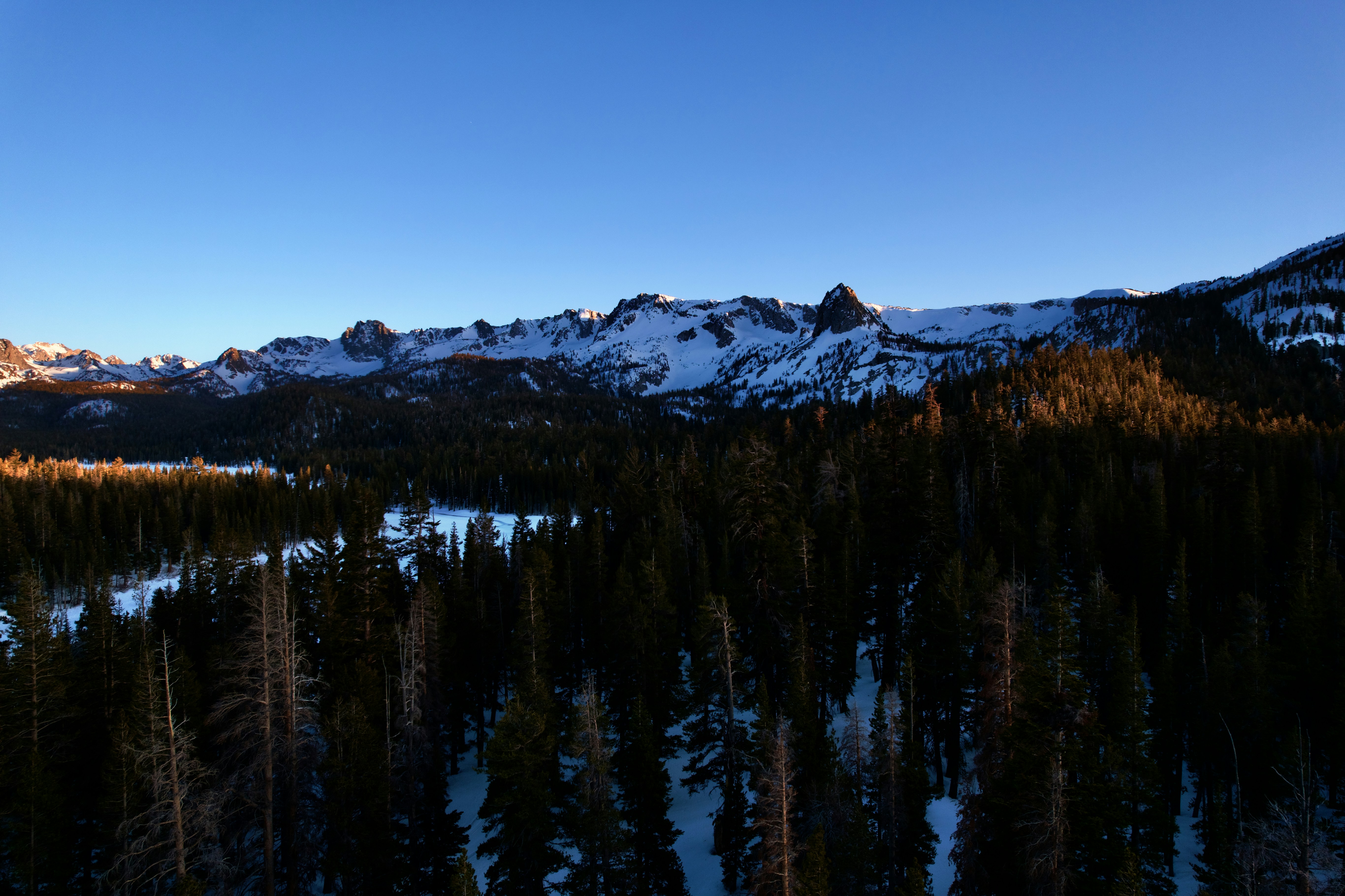 Snow-Crowned Ridge Over an Evergreen Forest