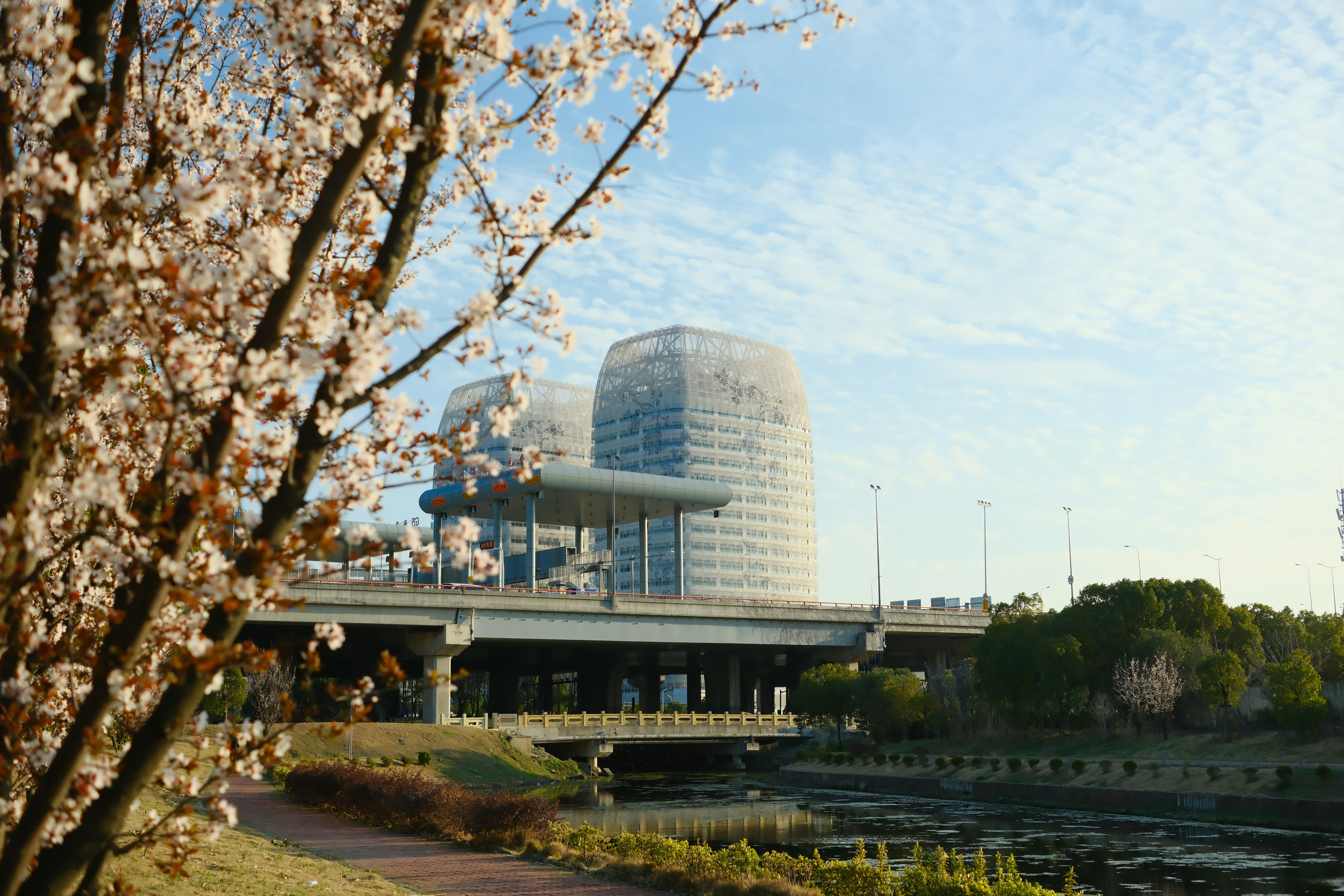 Bridge Over Cherry-Tree Corridor toward a Modern Cylinder