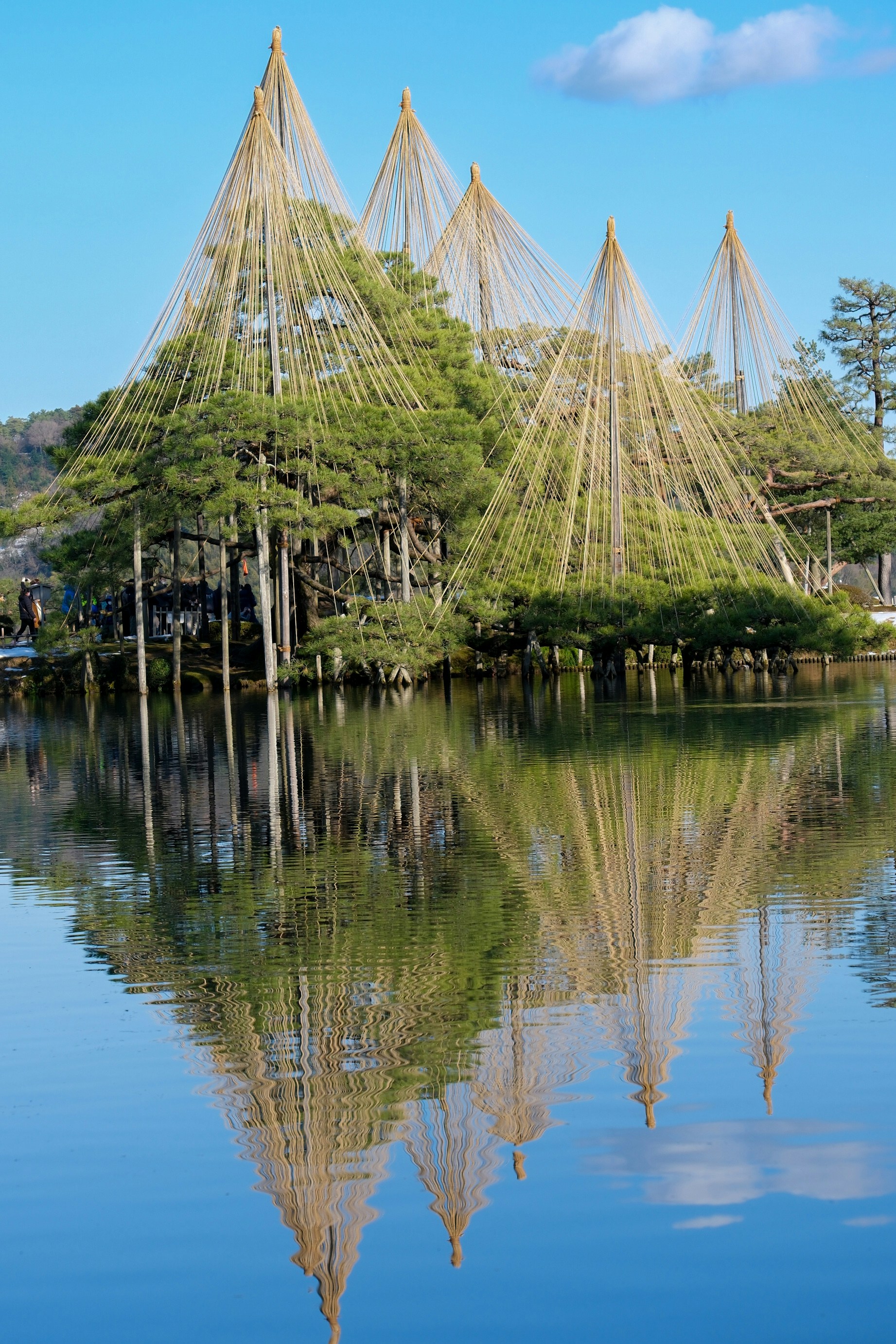 Tented pines over a tranquil lake, mirrored in still water