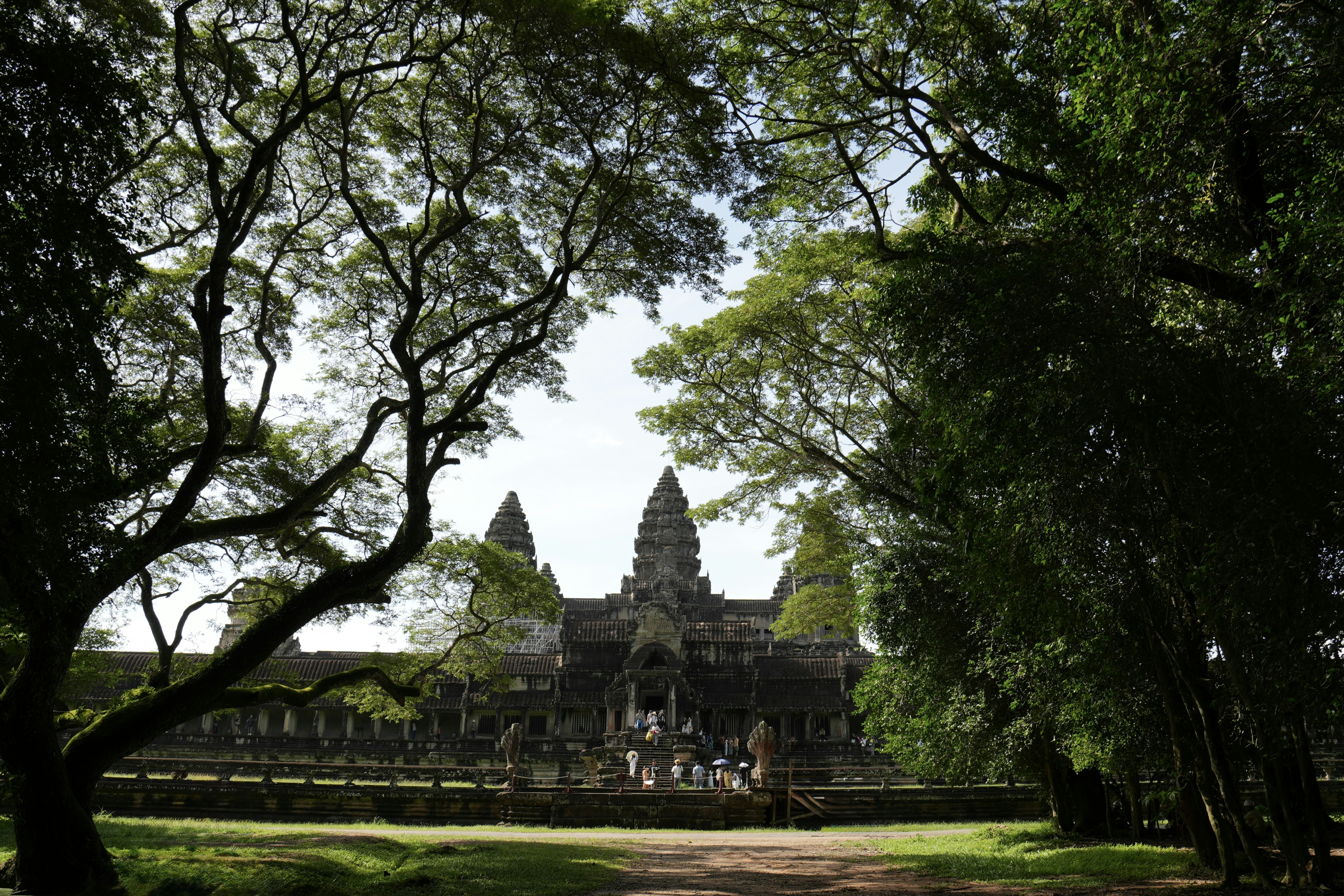 Temple Wake in a Green Courtyard beneath Encroaching Trees