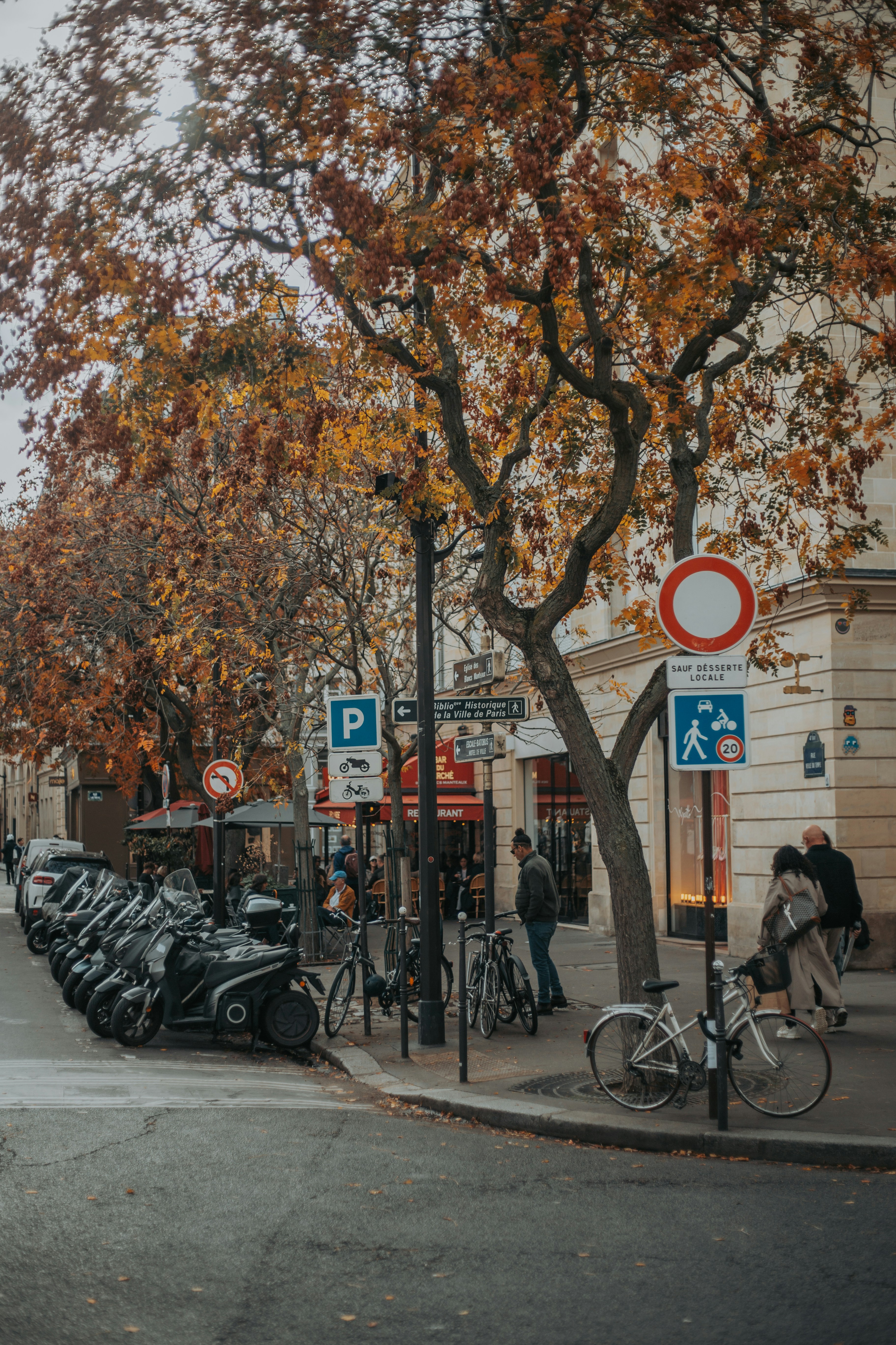 Autumn Street Pulse: Bikes, Signs, and Leaves in Urban Silence