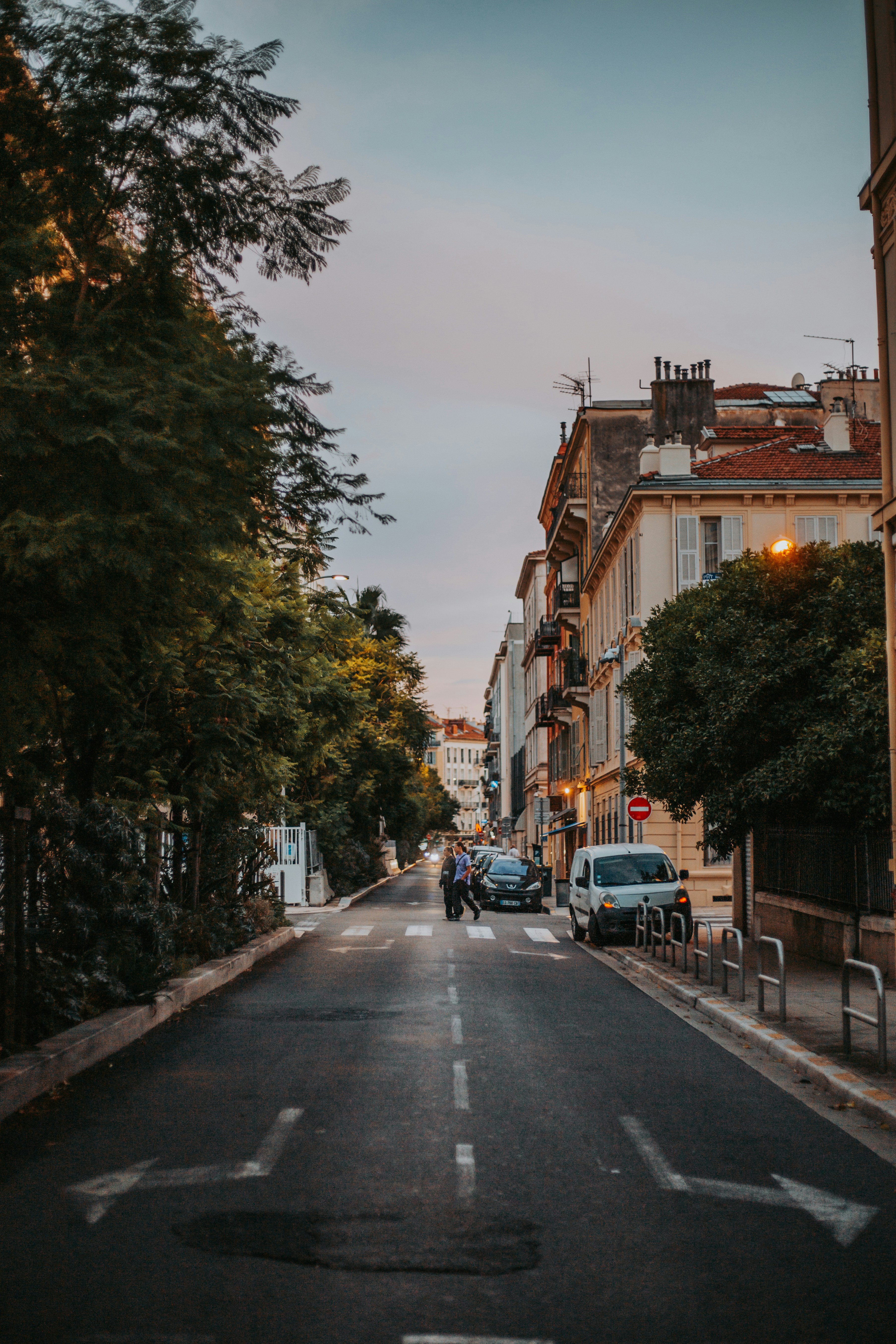 Evening Street in Bloom: A Quiet City Moment
